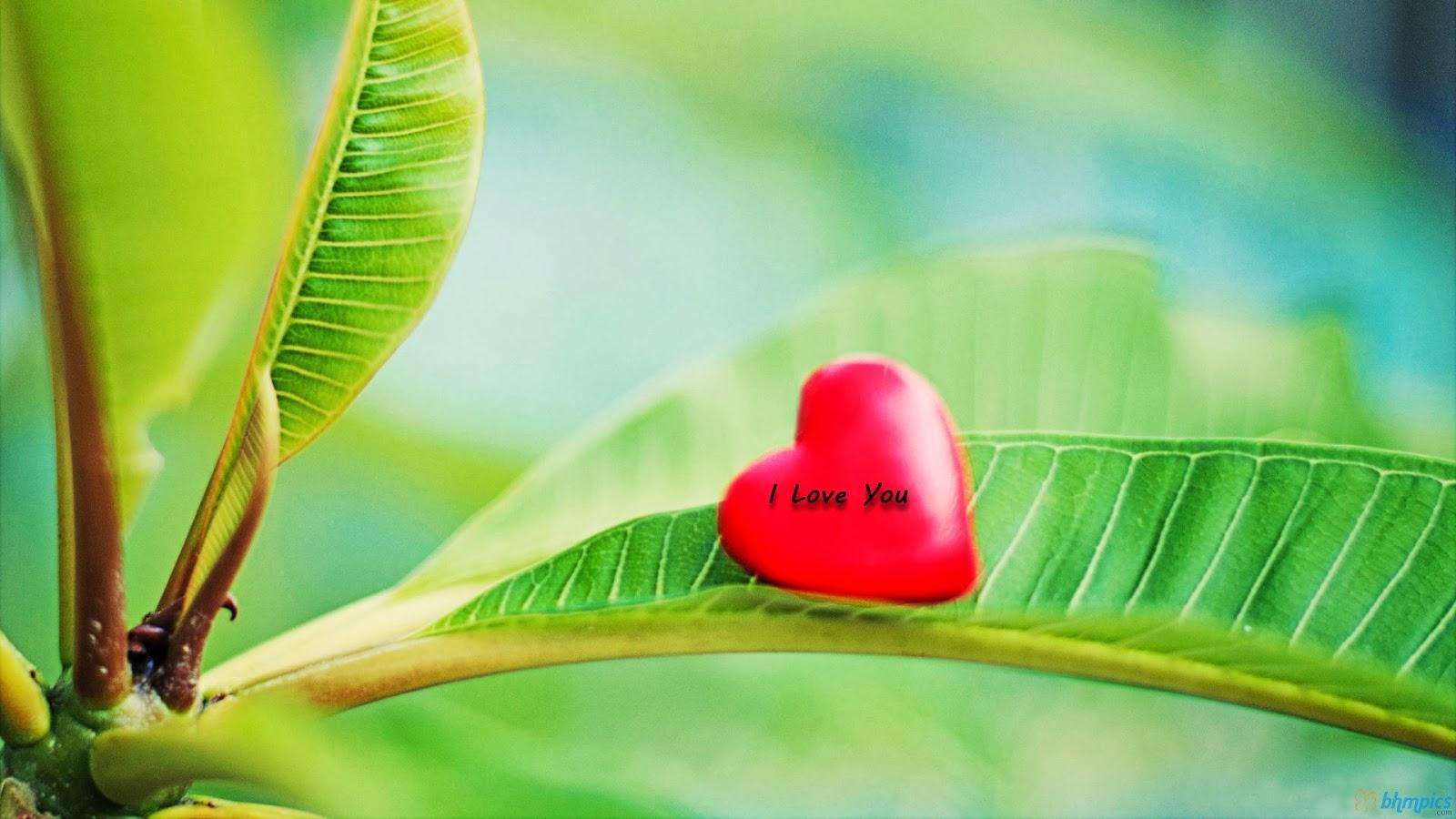 Beautiful Cute Love Wallpapers - Top Free Beautiful Cute Love ...