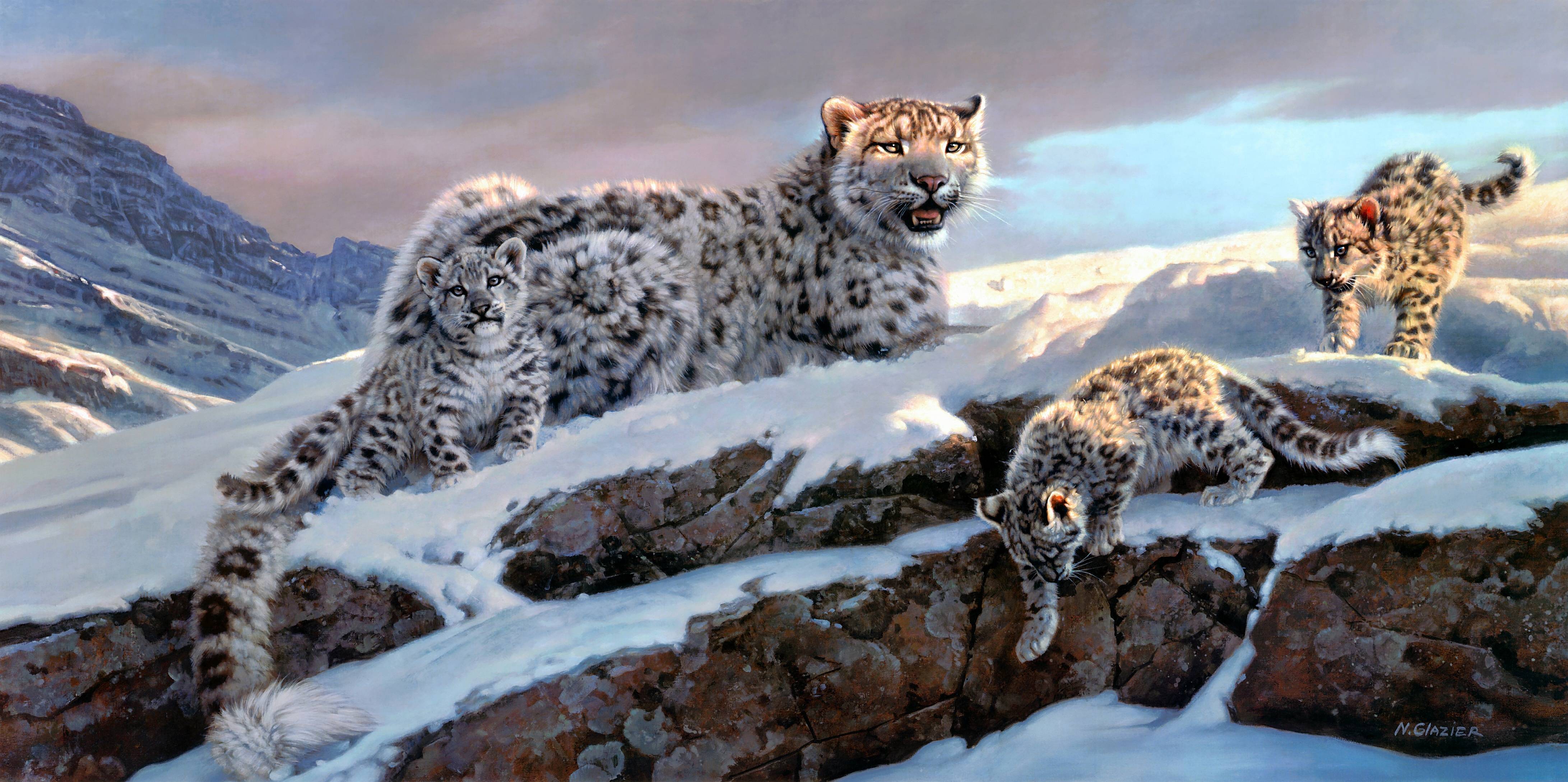 Snow Leopard Desktop Wallpapers - Top Free Snow Leopard Desktop ...