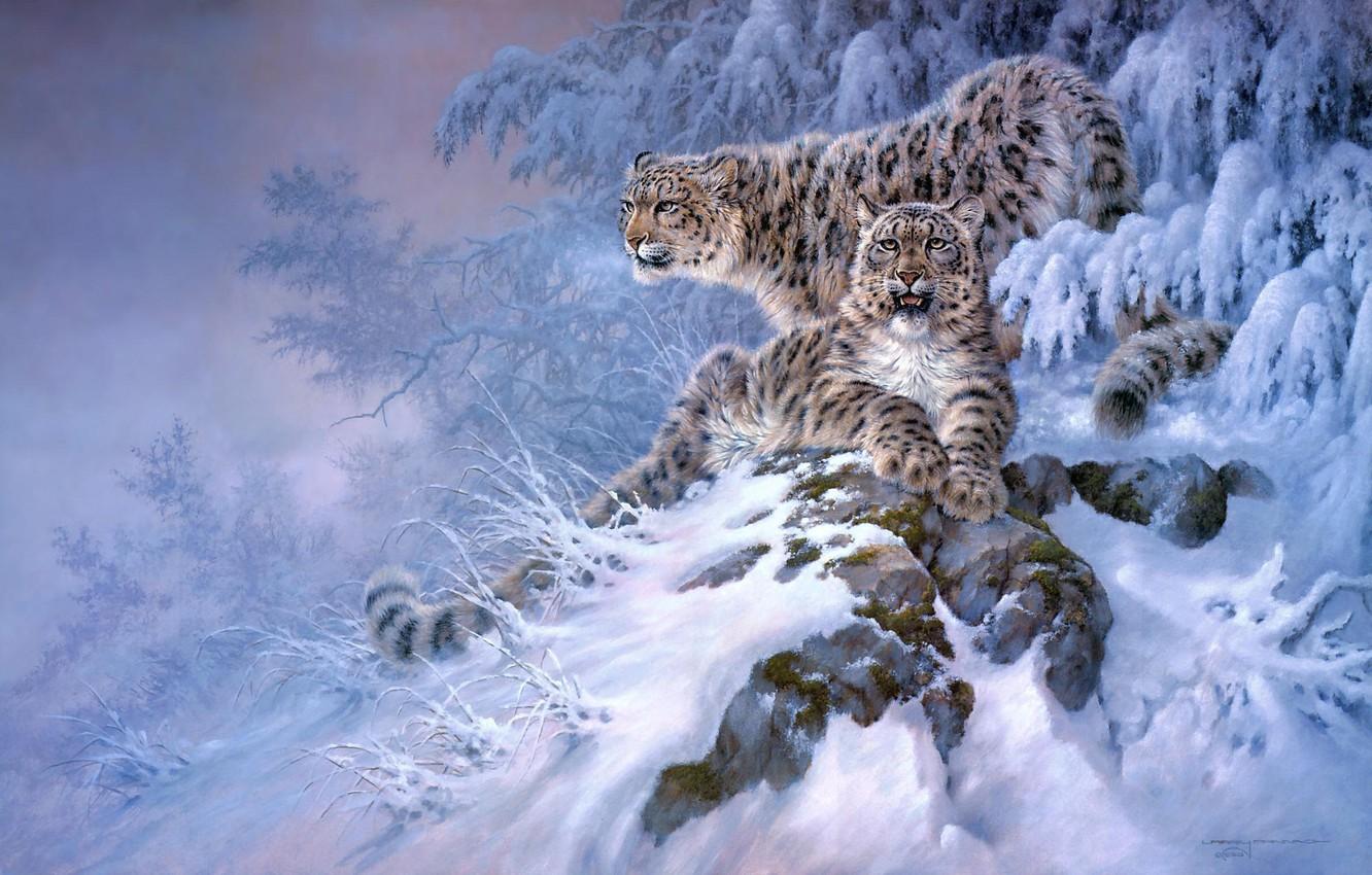 Winter Leopard Wallpapers - Top Free Winter Leopard Backgrounds ...