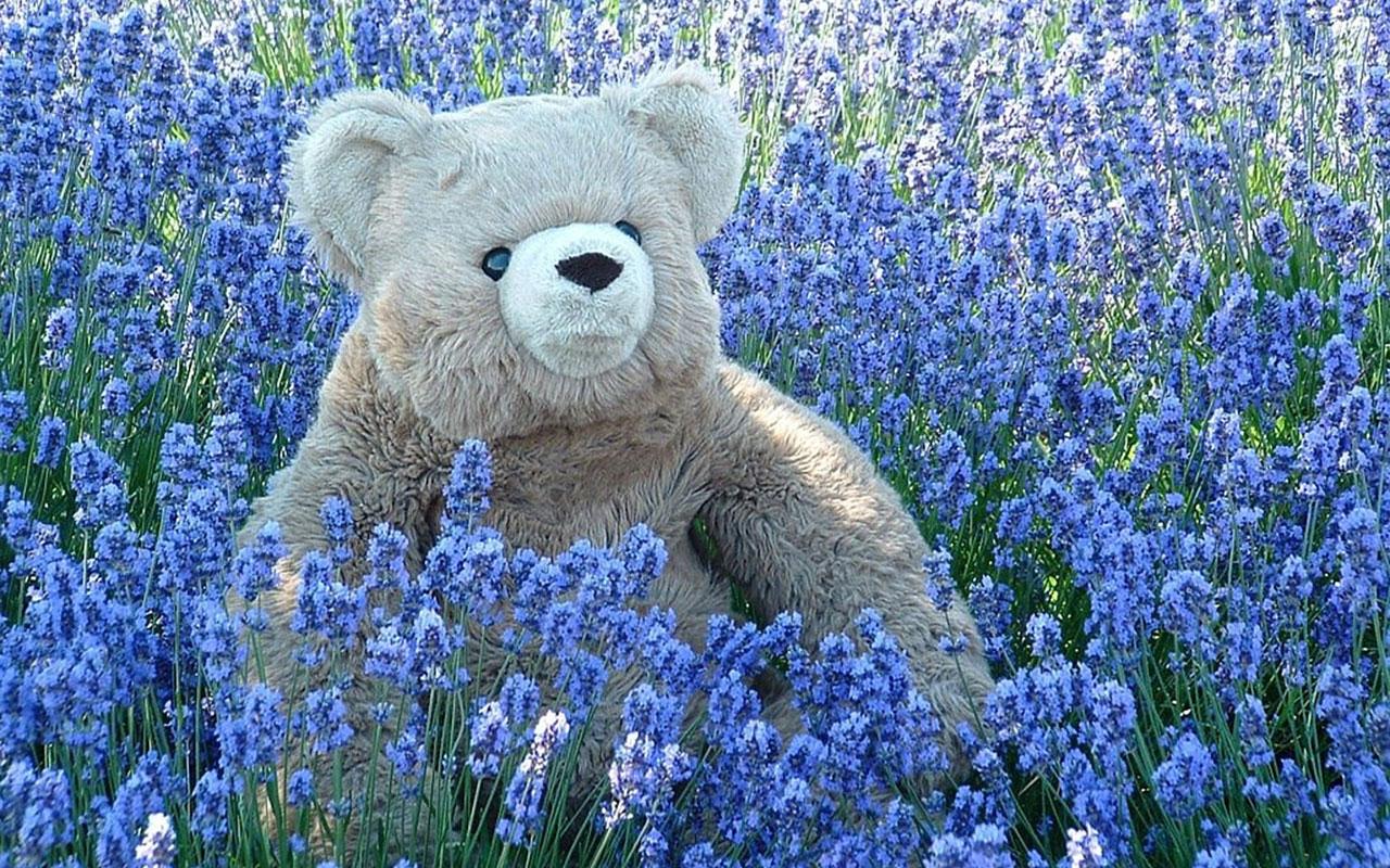 Blue Bear Wallpapers - Top Free Blue Bear Backgrounds - WallpaperAccess