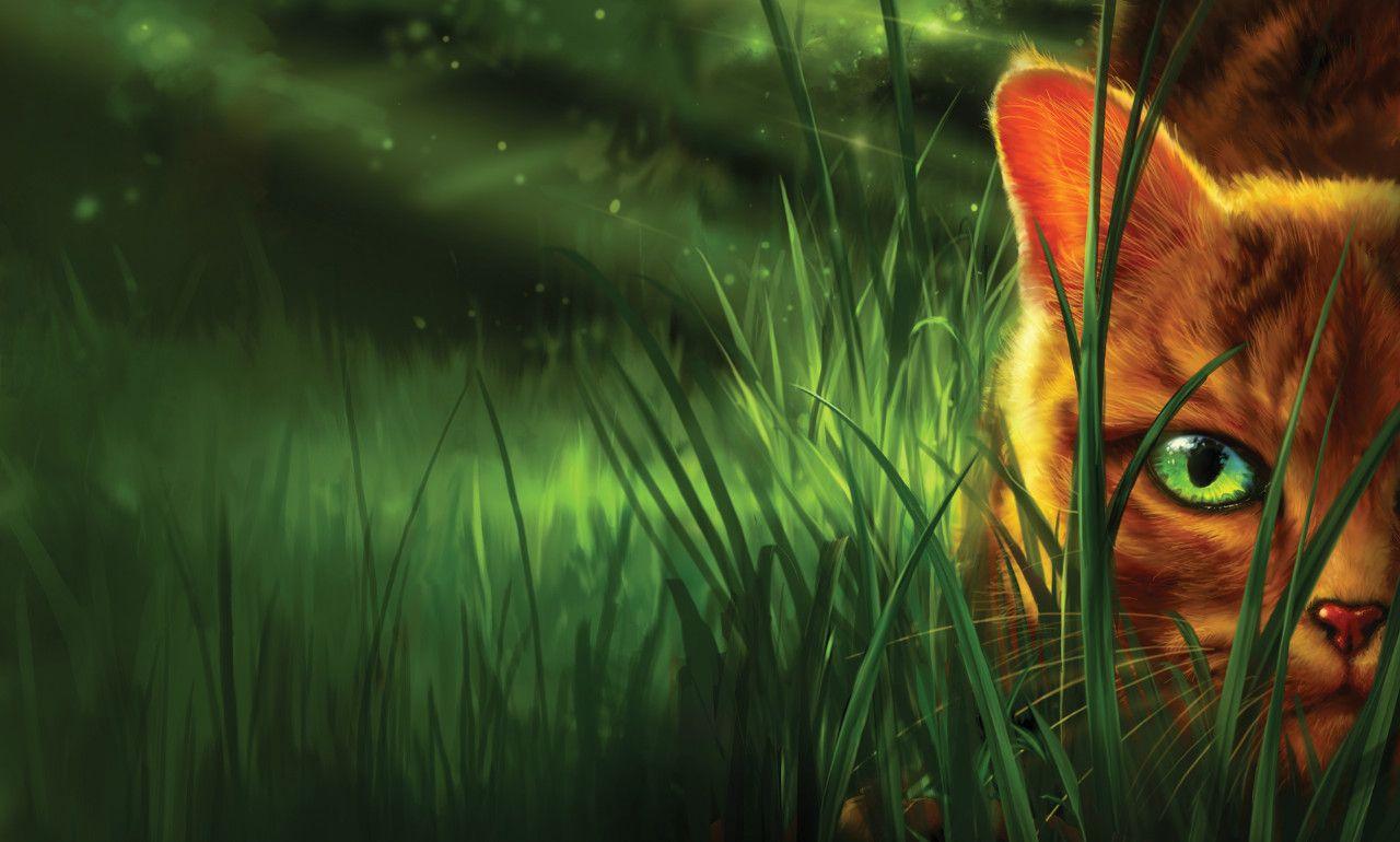 FireStar Wallpapers - Top Free FireStar Backgrounds - WallpaperAccess