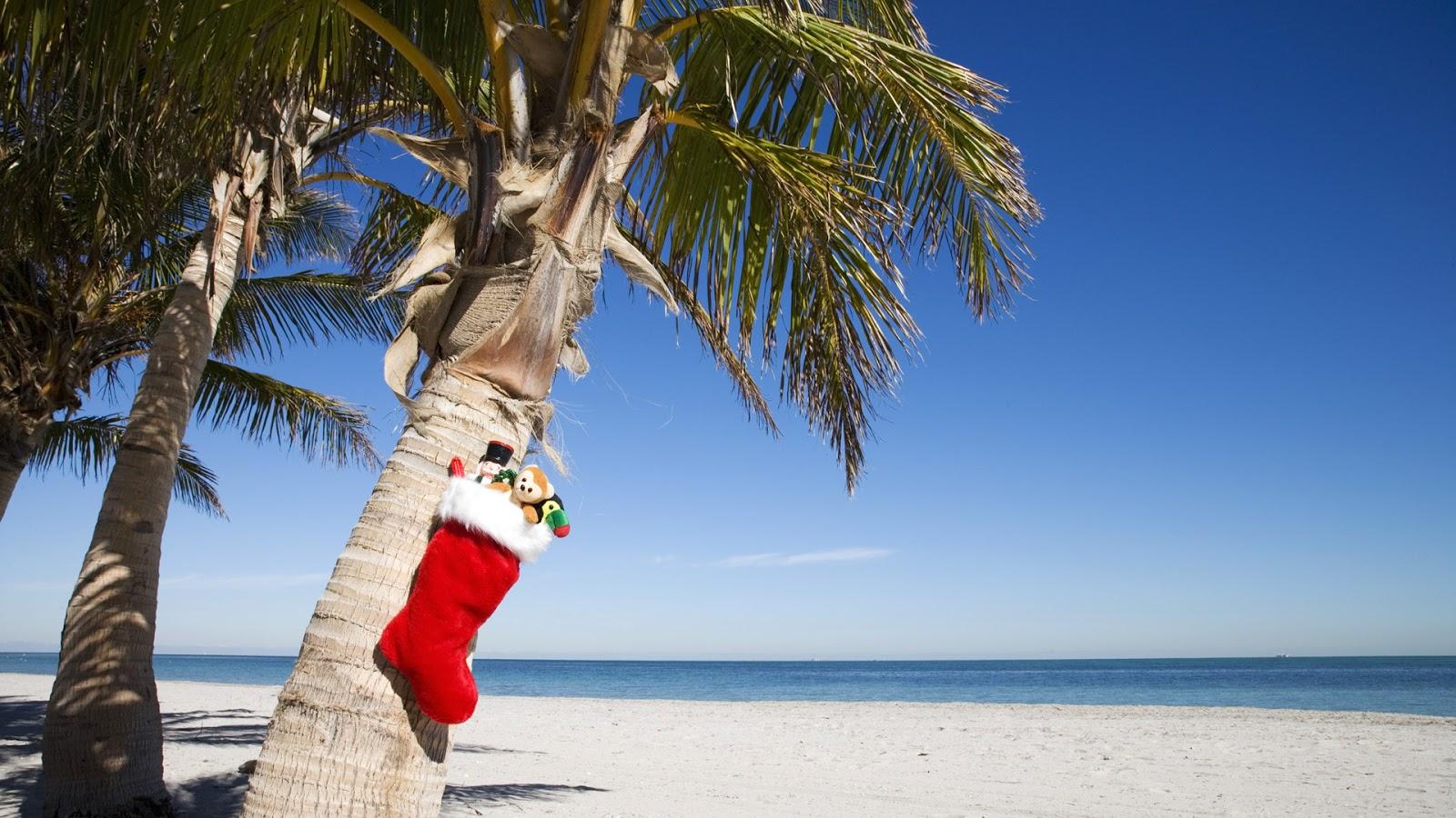Christmas Tree Beach Wallpapers - Top Free Christmas Tree Beach ...