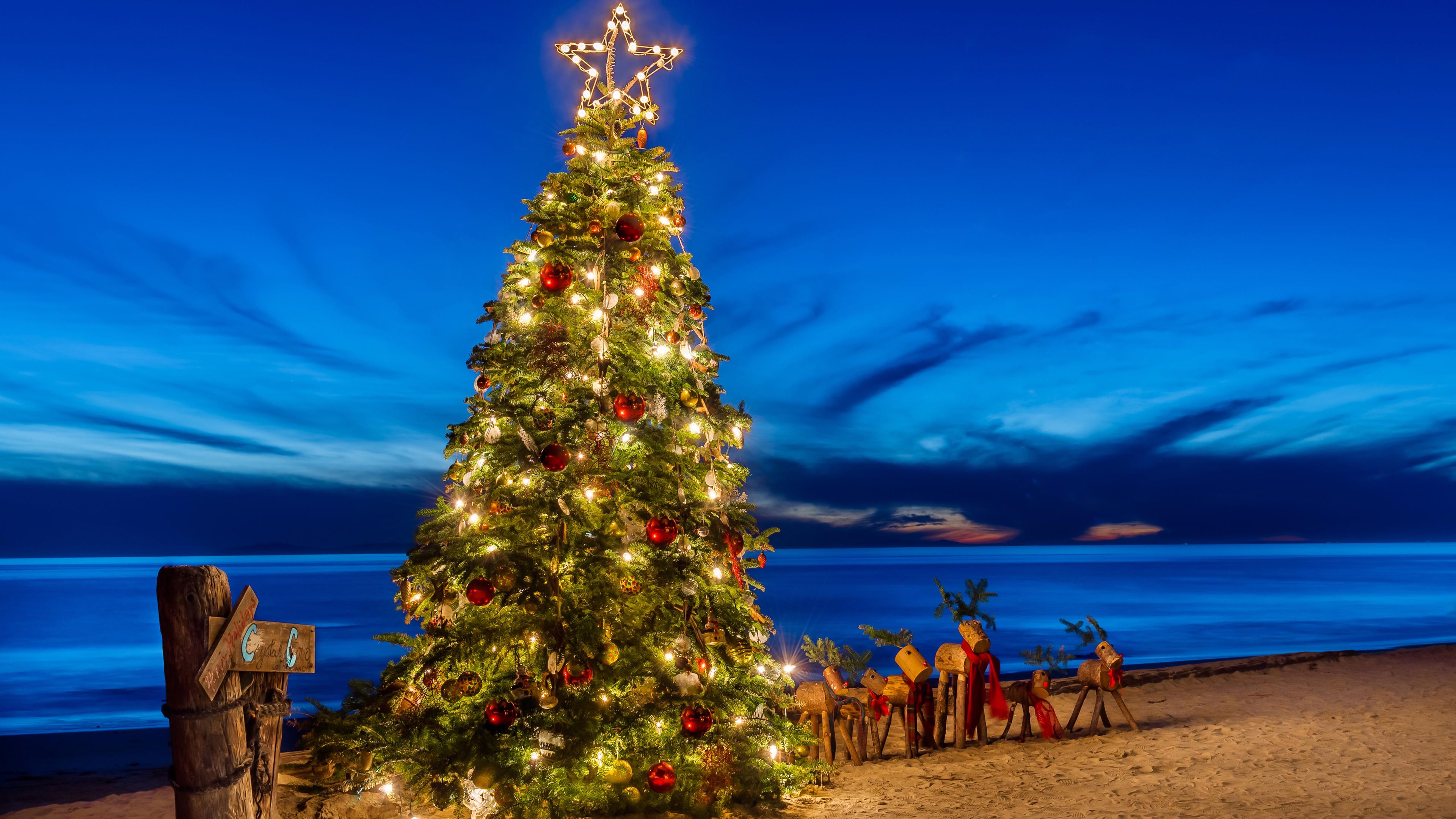 Christmas Tree Beach Wallpapers - Top Free Christmas Tree Beach ...