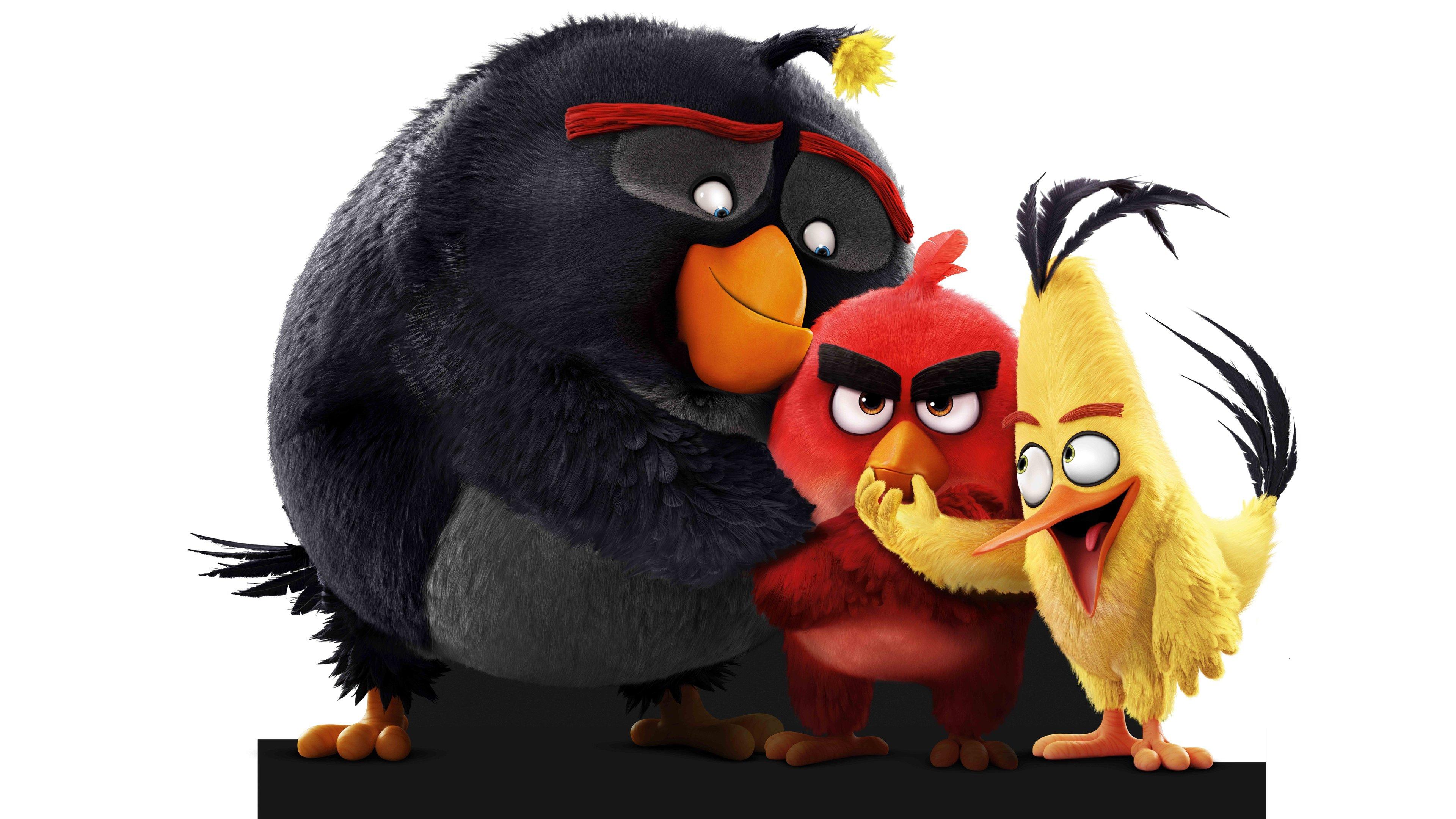 Cartoon Birds Wallpapers - Top Free Cartoon Birds Backgrounds ...