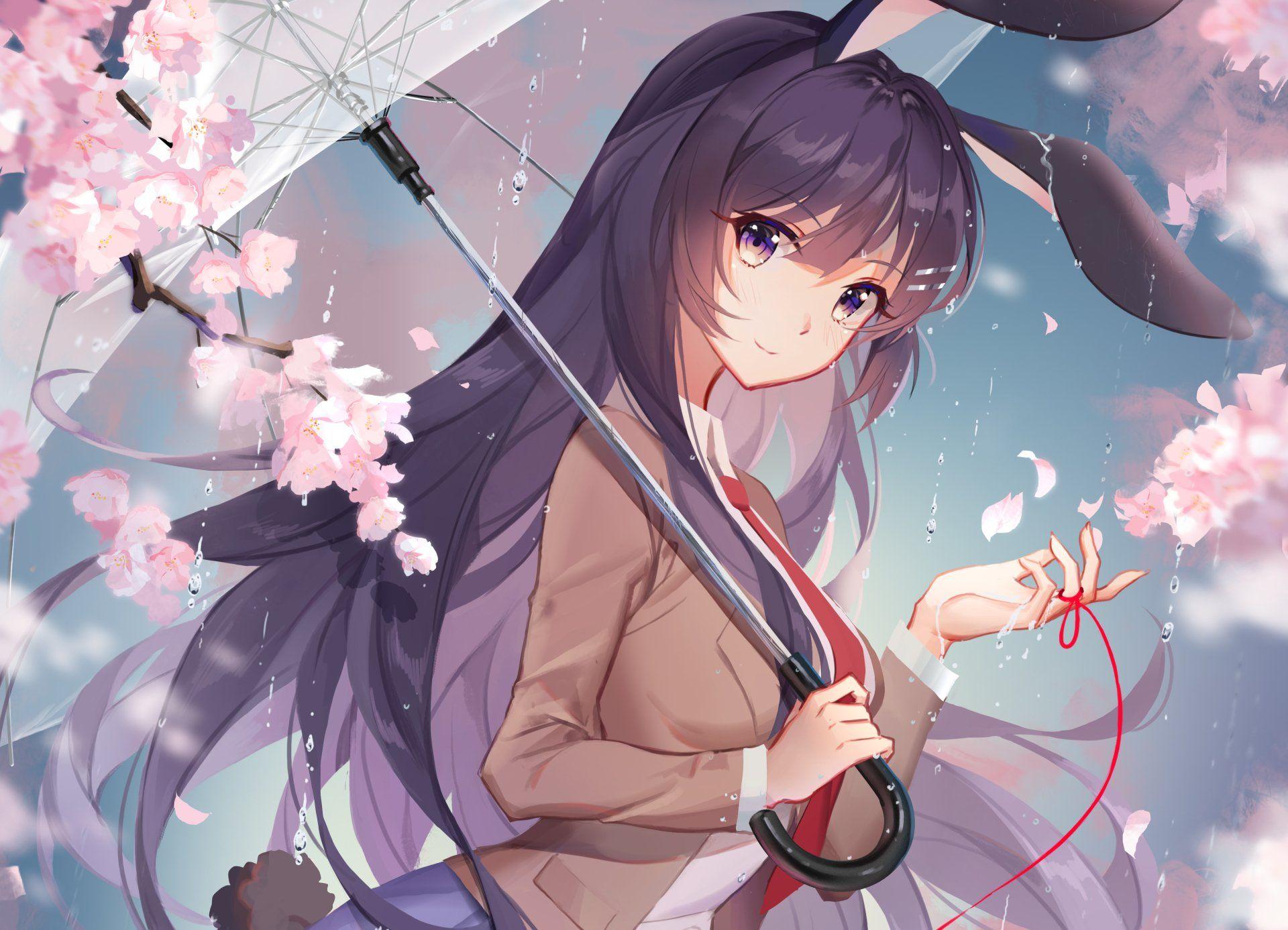 Bunny Senpai Wallpapers - Top Free Bunny Senpai Backgrounds ...
