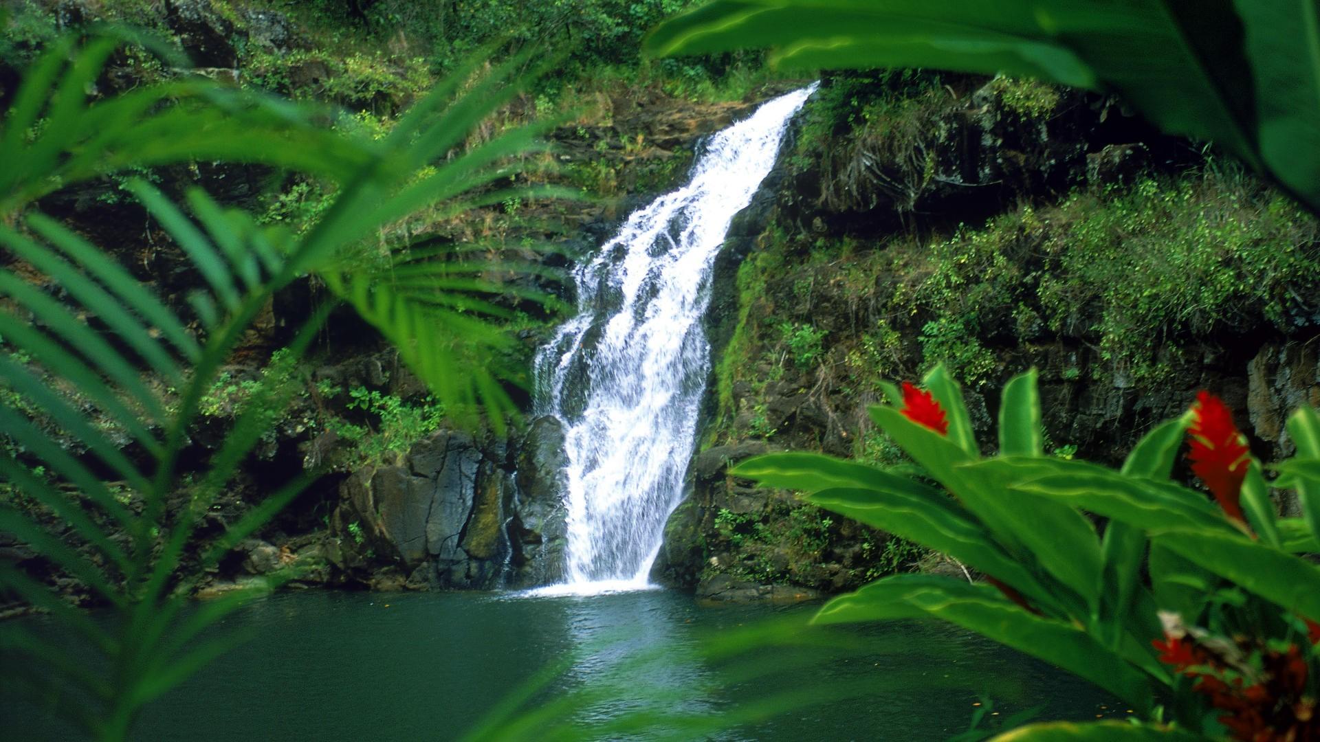 Hawaii Waterfalls Wallpapers Top Free Hawaii Waterfalls Backgrounds Hawaii Waterfalls Wallpapers Top Free Hawaii Waterfalls Backgrounds