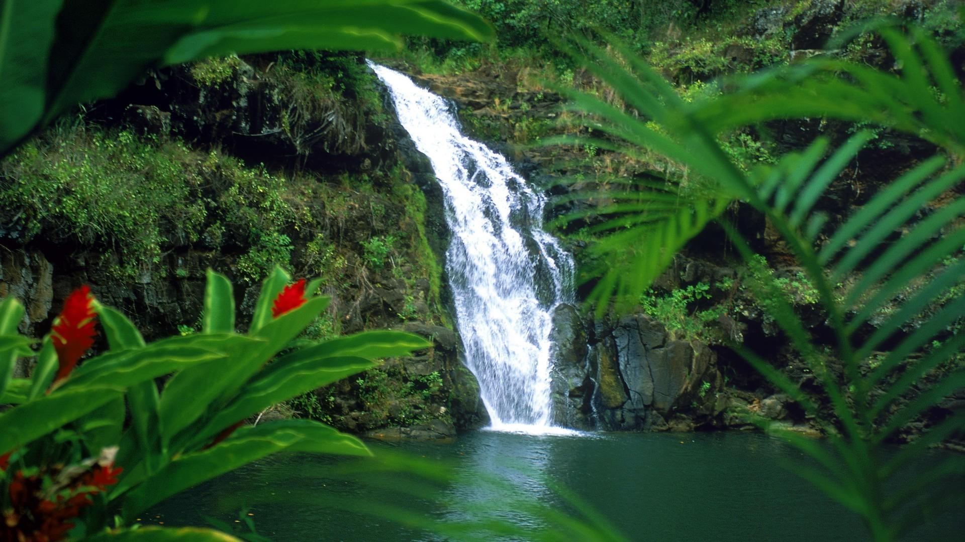 Hawaii Waterfalls Wallpapers - Top Free Hawaii Waterfalls Backgrounds ...