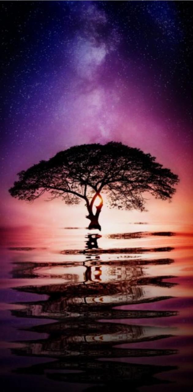 Mystical Tree Wallpapers - Top Free Mystical Tree Backgrounds ...