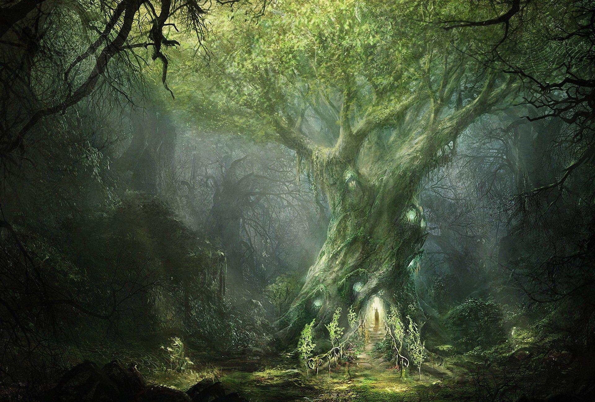 Mystical Tree Wallpapers - Top Free Mystical Tree Backgrounds - WallpaperAccess