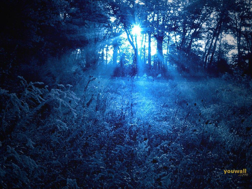 Dark Blue Forest Wallpapers - Top Free Dark Blue Forest Backgrounds ...