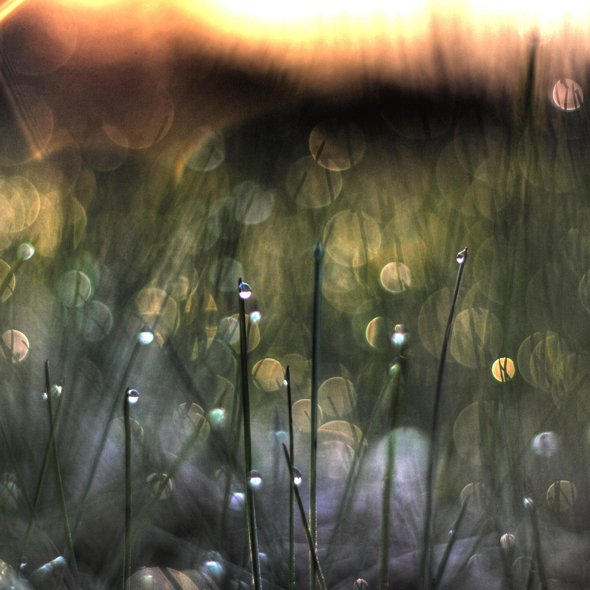 Spring iPad Wallpapers - Top Free Spring iPad Backgrounds - WallpaperAccess