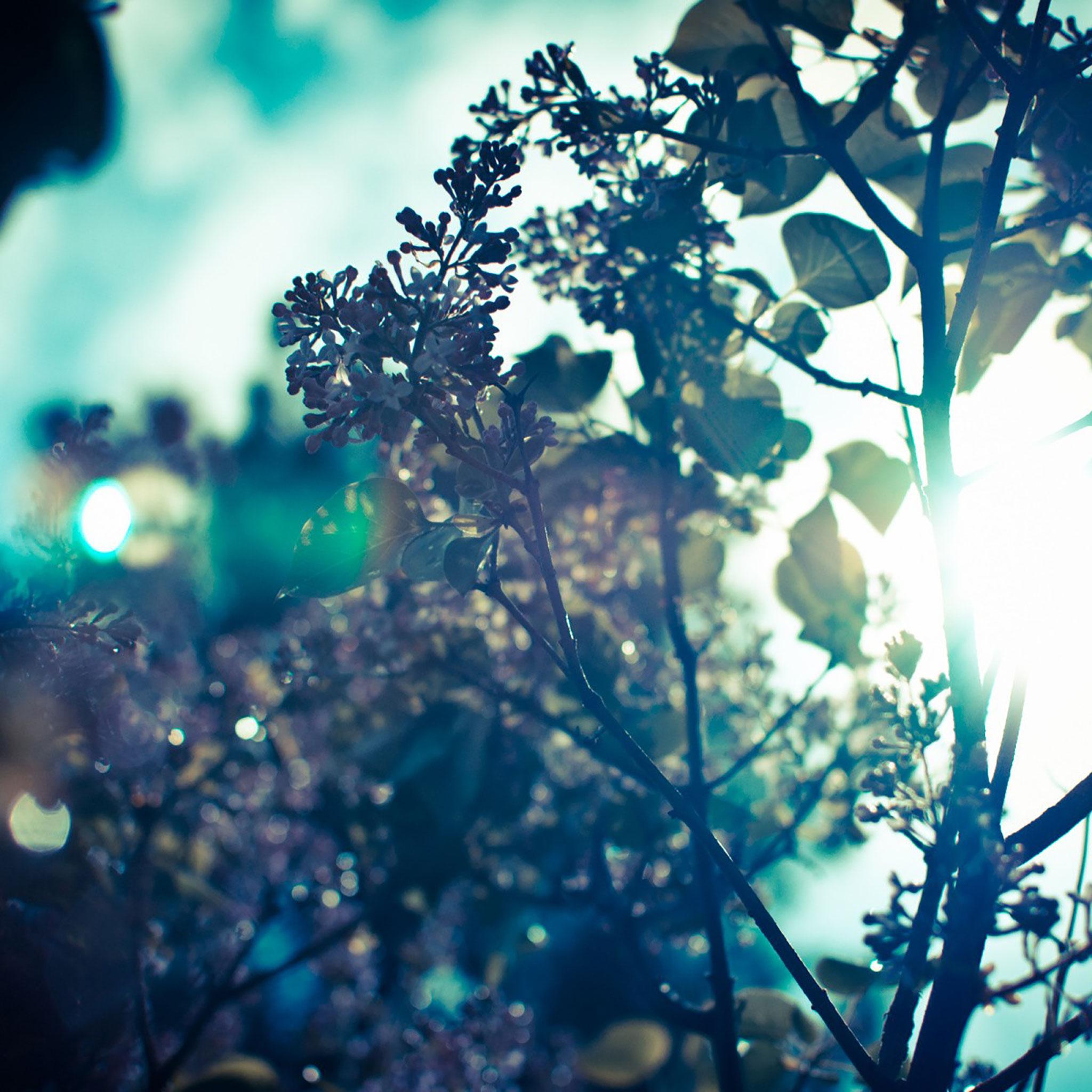 Spring iPad Wallpapers - Top Free Spring iPad Backgrounds - WallpaperAccess