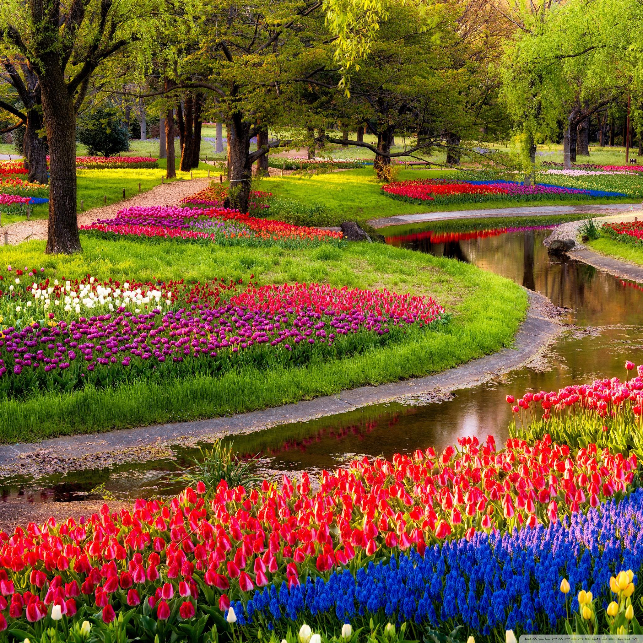 Spring iPad Wallpapers - Top Free Spring iPad Backgrounds - WallpaperAccess