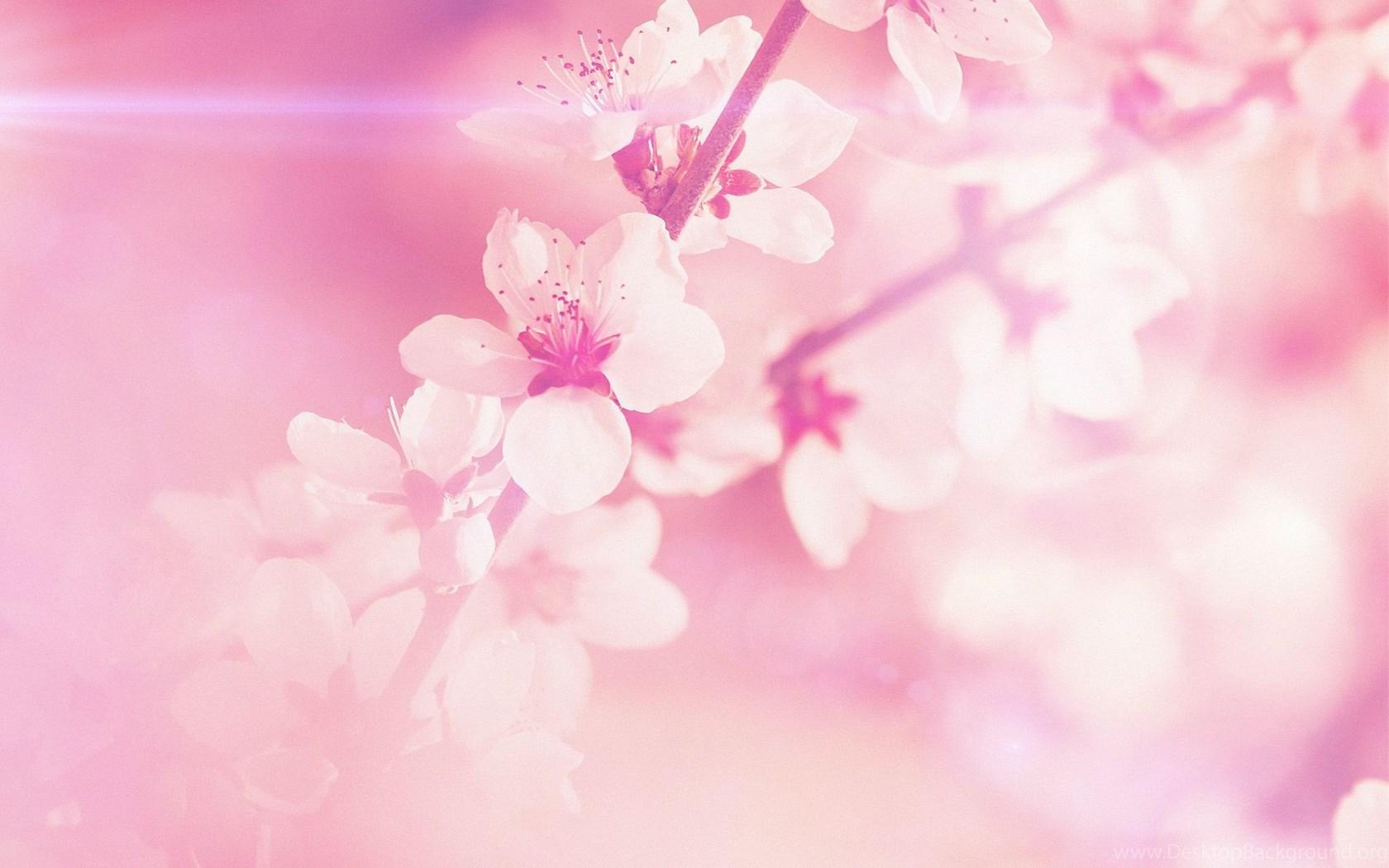 Spring iPad Wallpapers - Top Free Spring iPad Backgrounds - WallpaperAccess