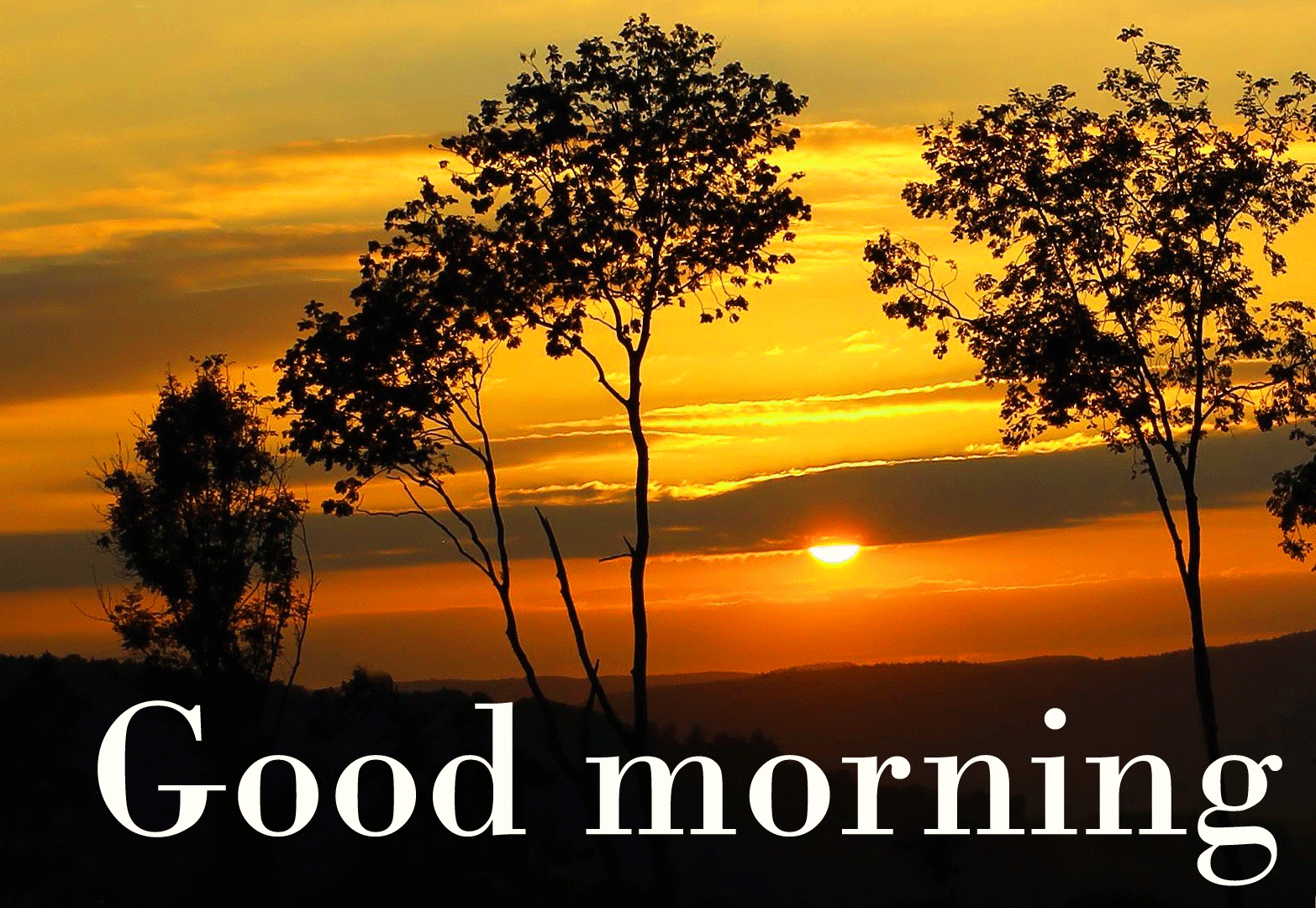 Good Morning Sunshine Wallpapers - Top Free Good Morning Sunshine ...