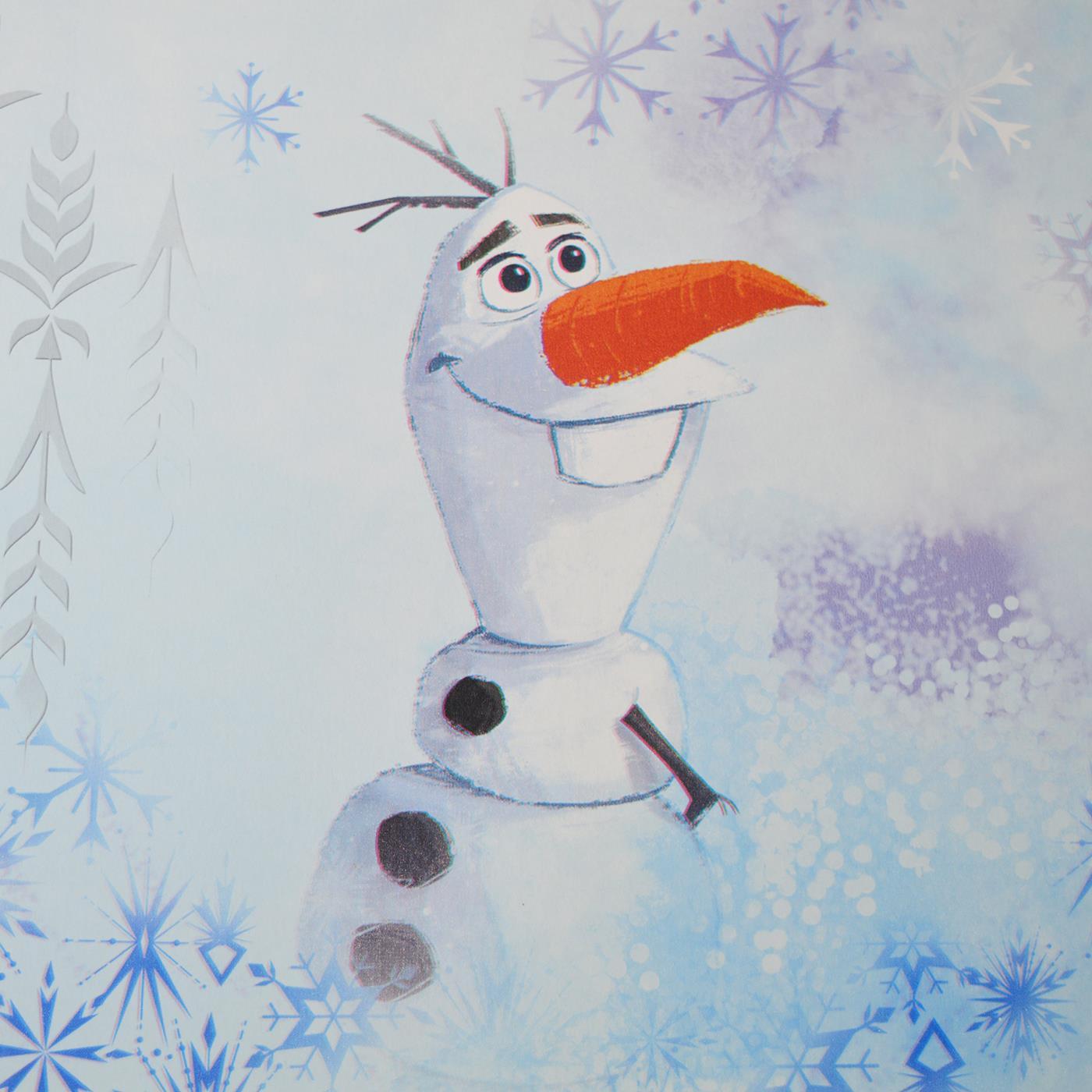 Olaf Winter Disney Wallpapers - Top Free Olaf Winter Disney Backgrounds ...