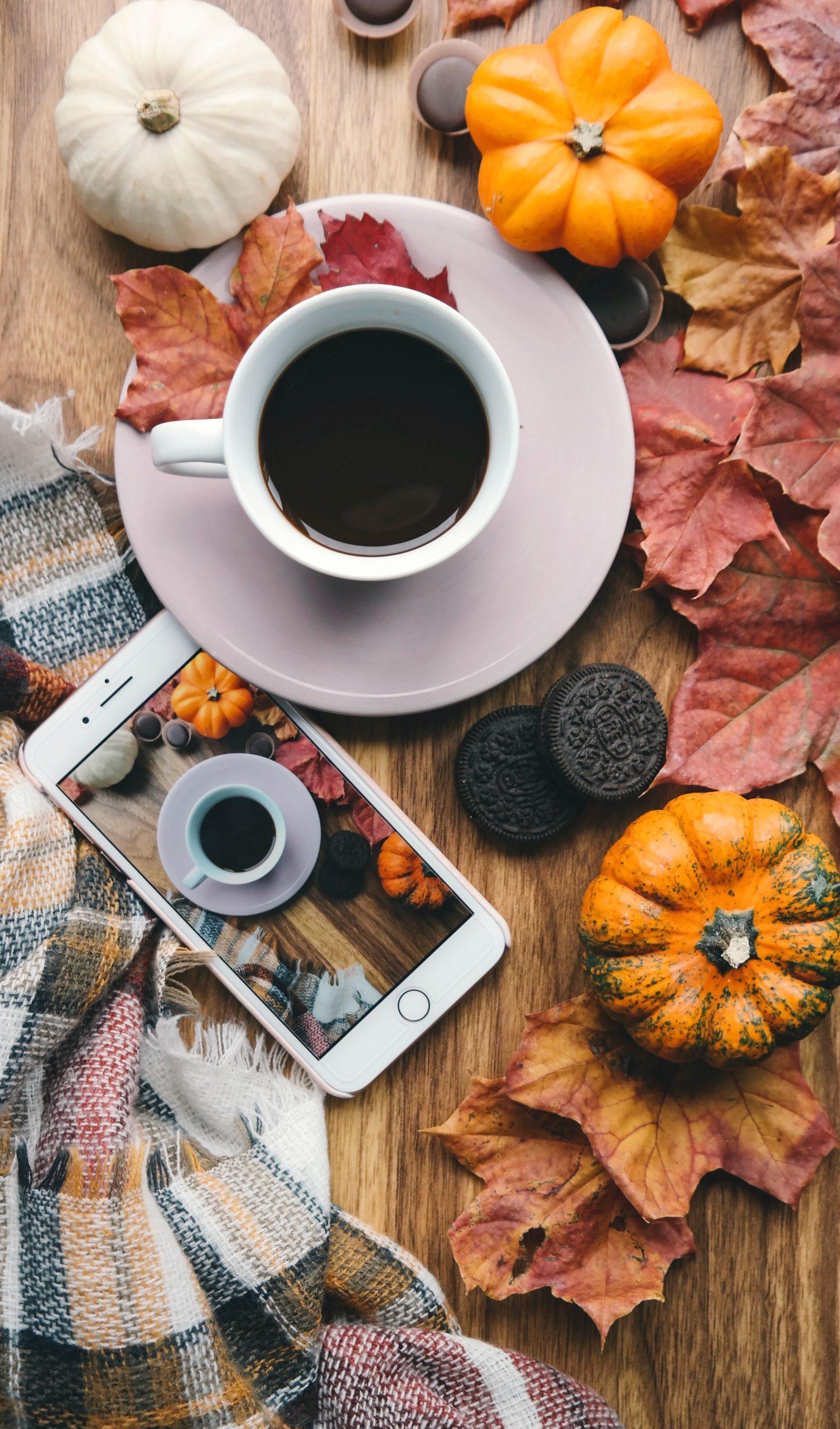 Fall Vibes Wallpapers - Top Free Fall Vibes Backgrounds - WallpaperAccess