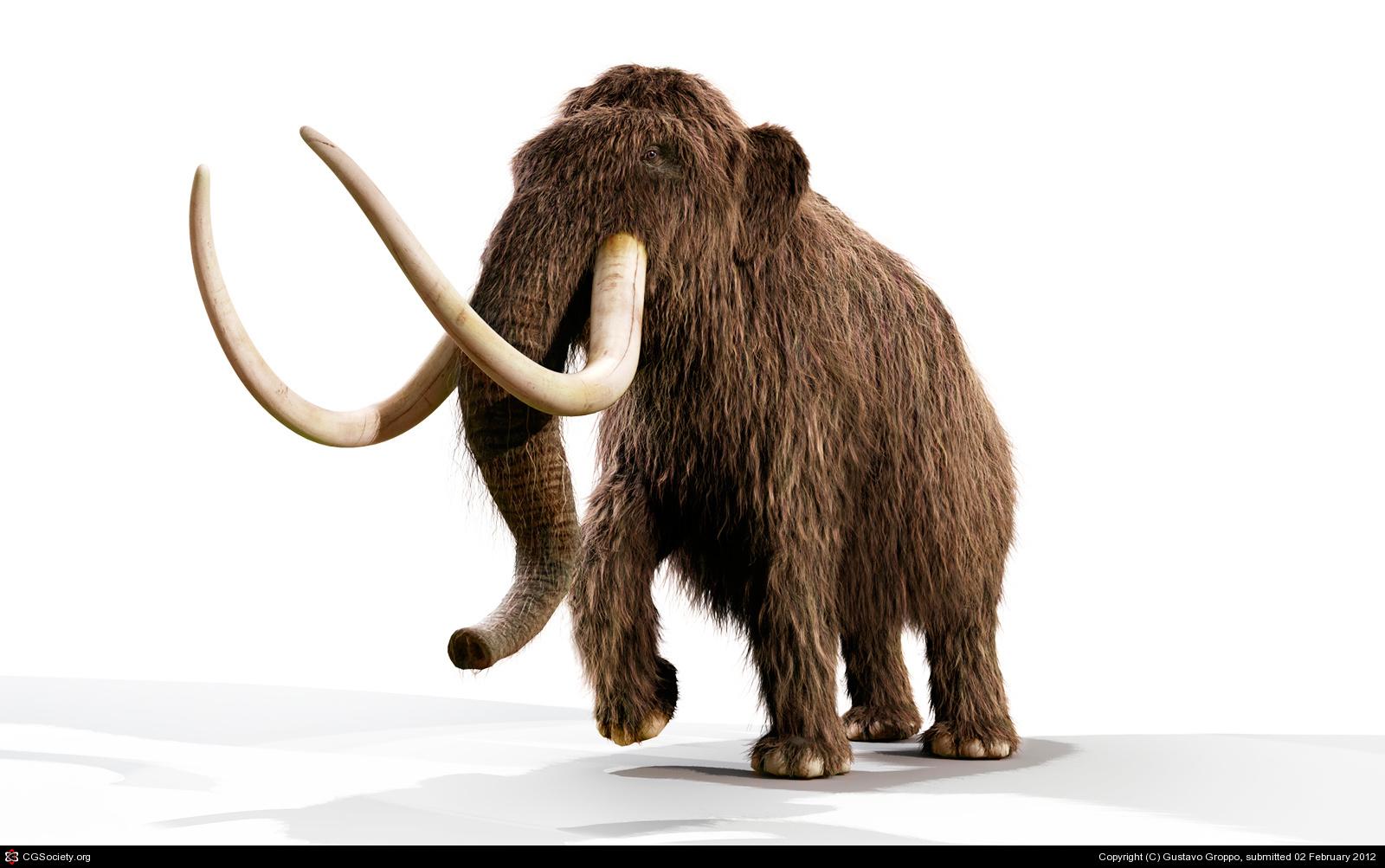 Mammoth HD Wallpapers - Top Free Mammoth HD Backgrounds - WallpaperAccess