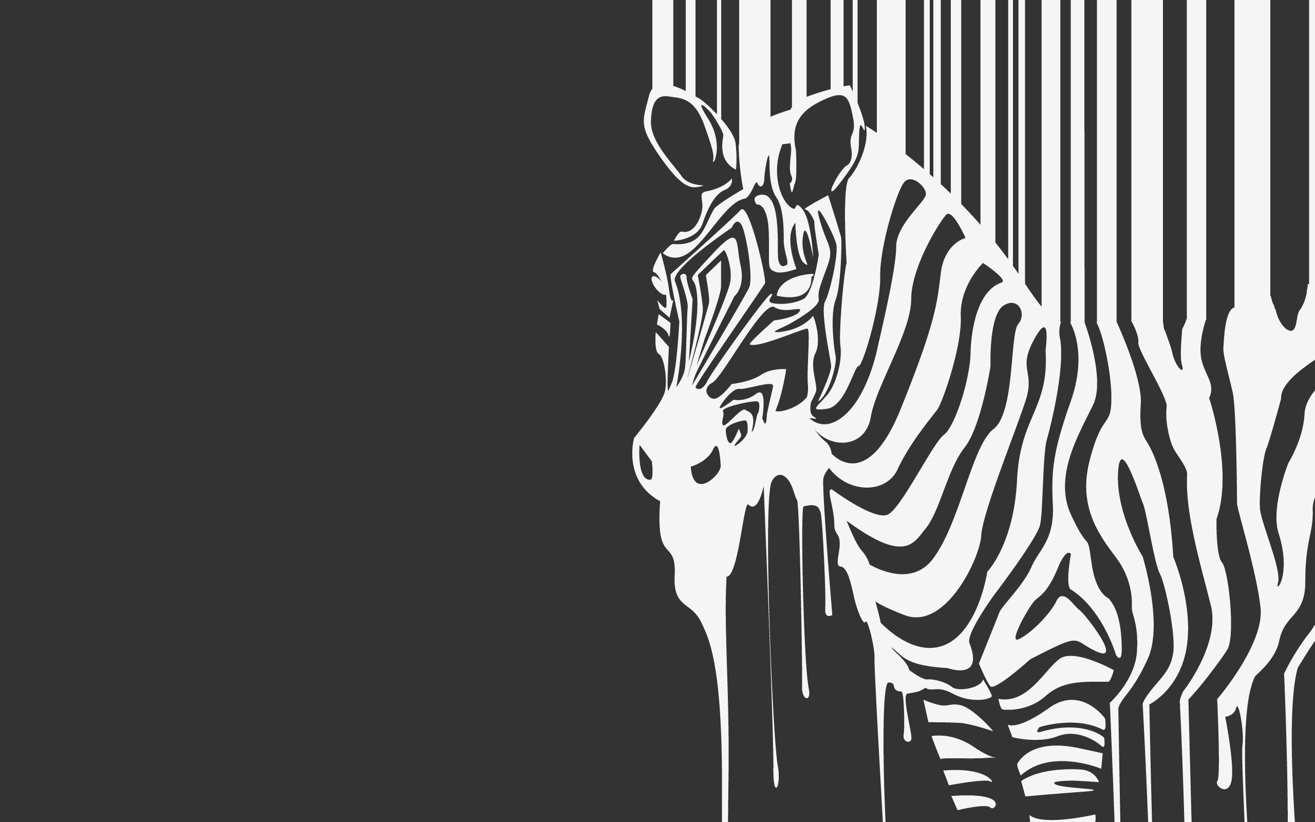 Zebra Desktop Wallpapers - Top Free Zebra Desktop Backgrounds ...