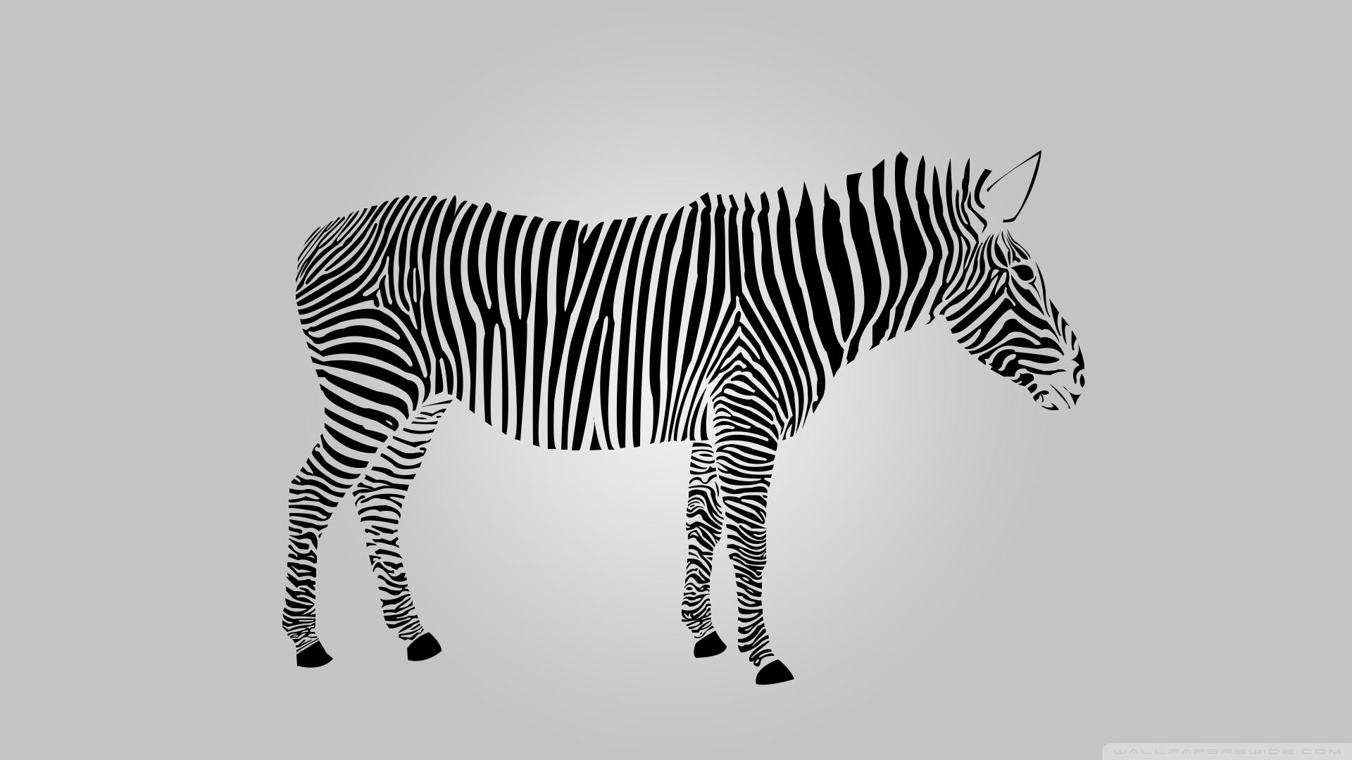 Zebra Desktop Wallpapers - Top Free Zebra Desktop Backgrounds ...