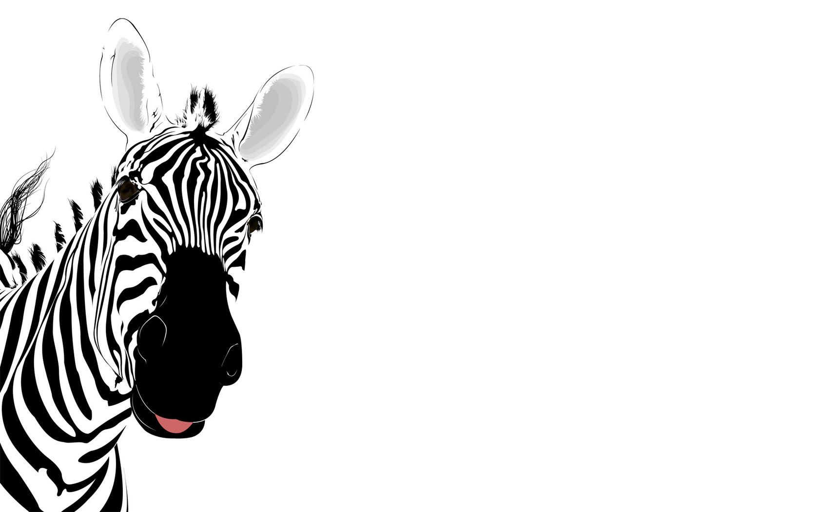 Zebra Desktop Wallpapers - Top Free Zebra Desktop Backgrounds ...
