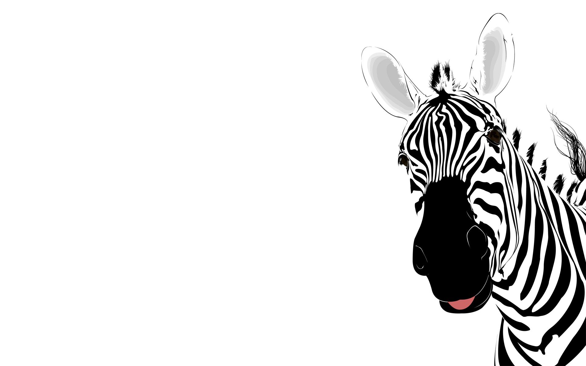 Zebra Desktop Wallpapers - Top Free Zebra Desktop Backgrounds ...