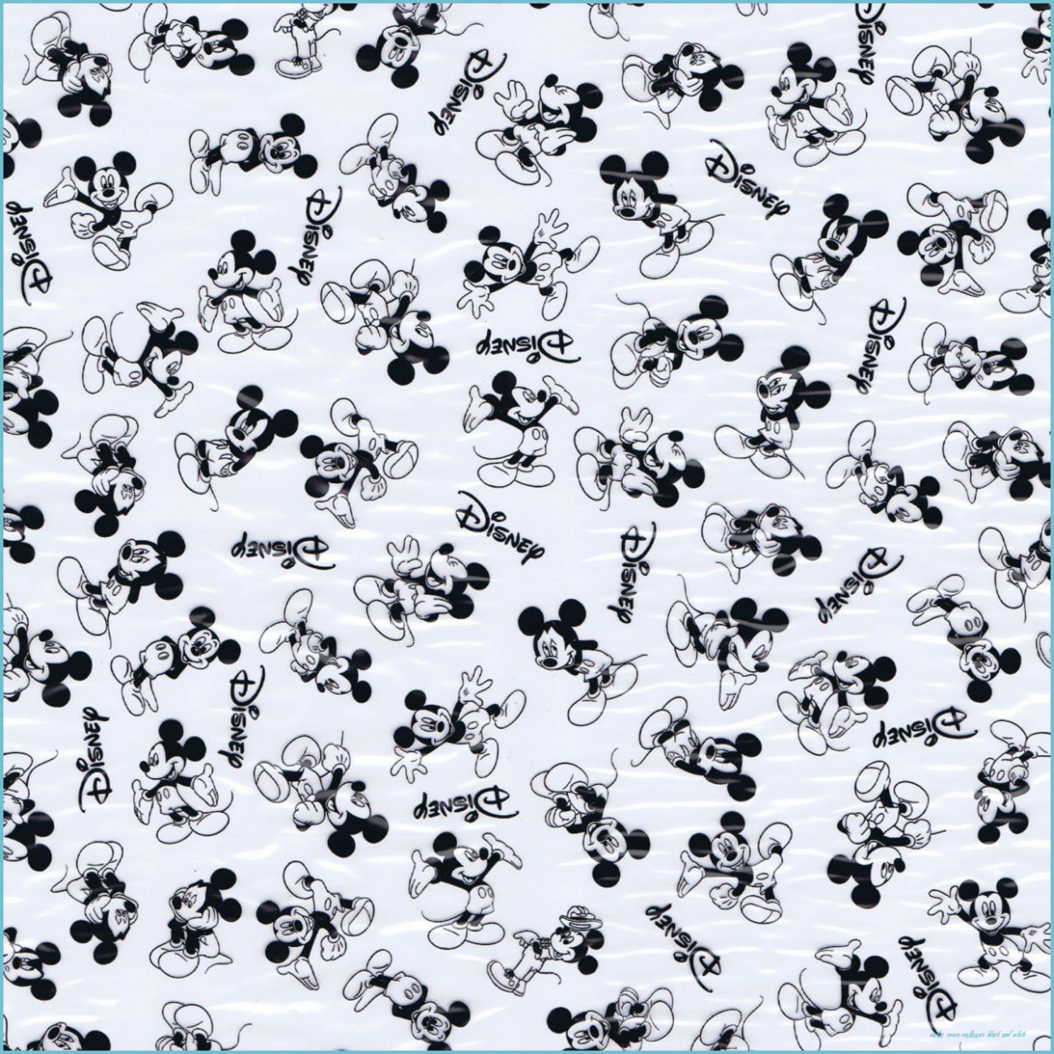 Minnie Mouse Black and White Wallpapers - Top Free Minnie Mouse Black ...