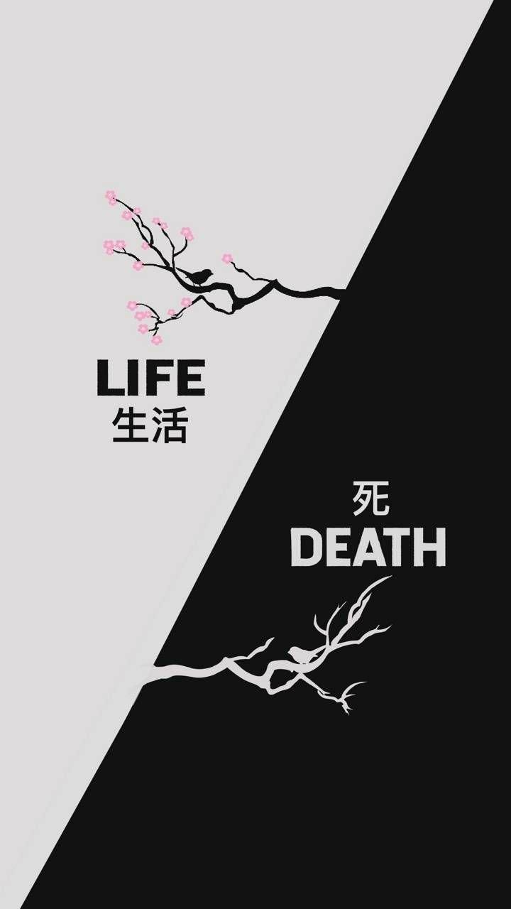 Death Aesthetic Wallpapers - Top Free Death Aesthetic Backgrounds ...
