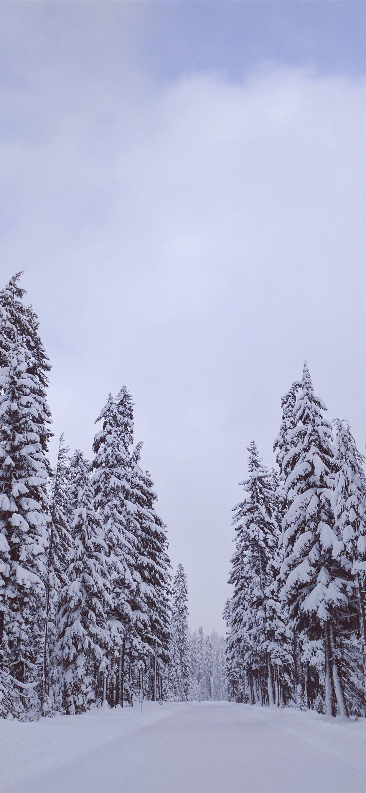 Snowy Winter iPhone Wallpapers - Top Free Snowy Winter iPhone ...