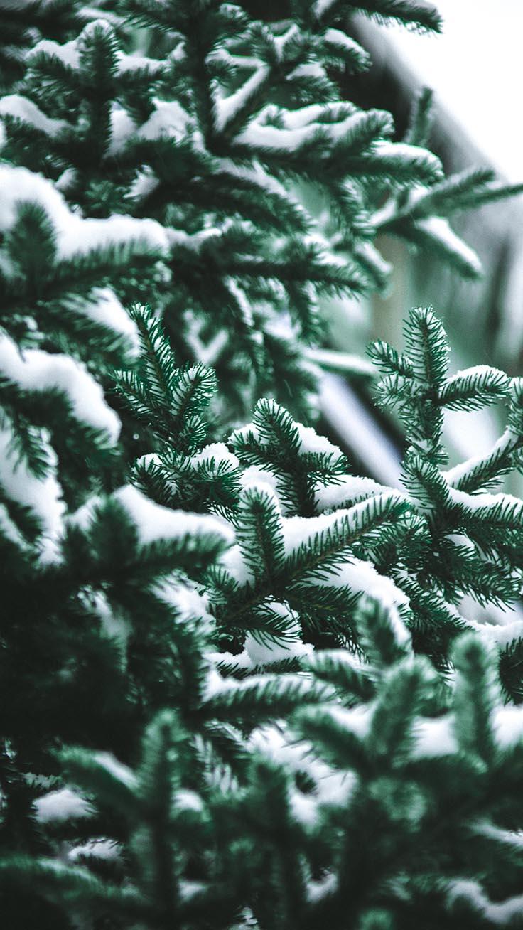 Winter Snow iPhone Wallpapers - Top Free Winter Snow iPhone Backgrounds ...