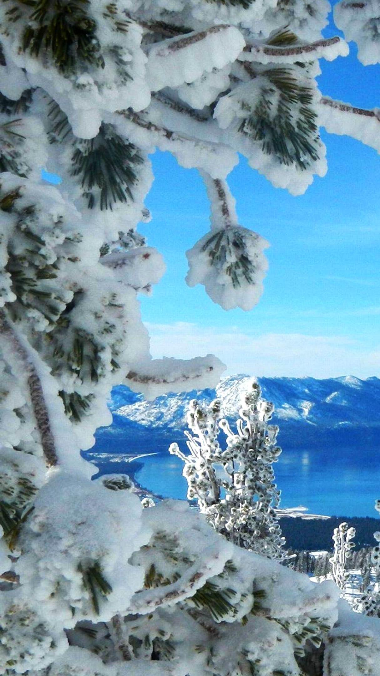 Snowy Winter iPhone Wallpapers - Top Free Snowy Winter iPhone ...