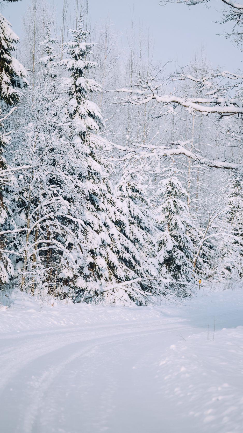 Snowy Winter iPhone Wallpapers - Top Free Snowy Winter iPhone ...