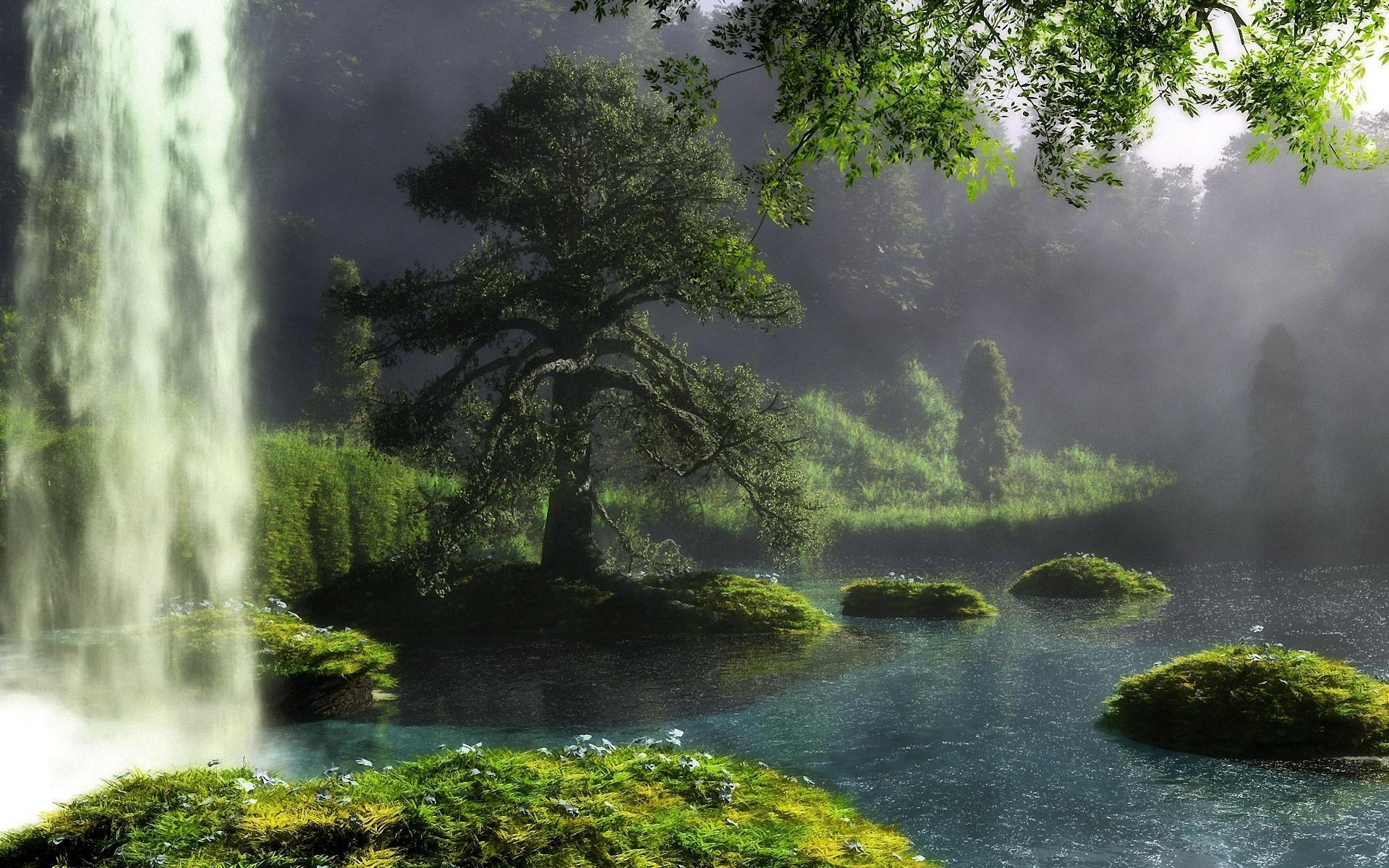 Amazing Forest Wallpapers - Top Free Amazing Forest Backgrounds ...
