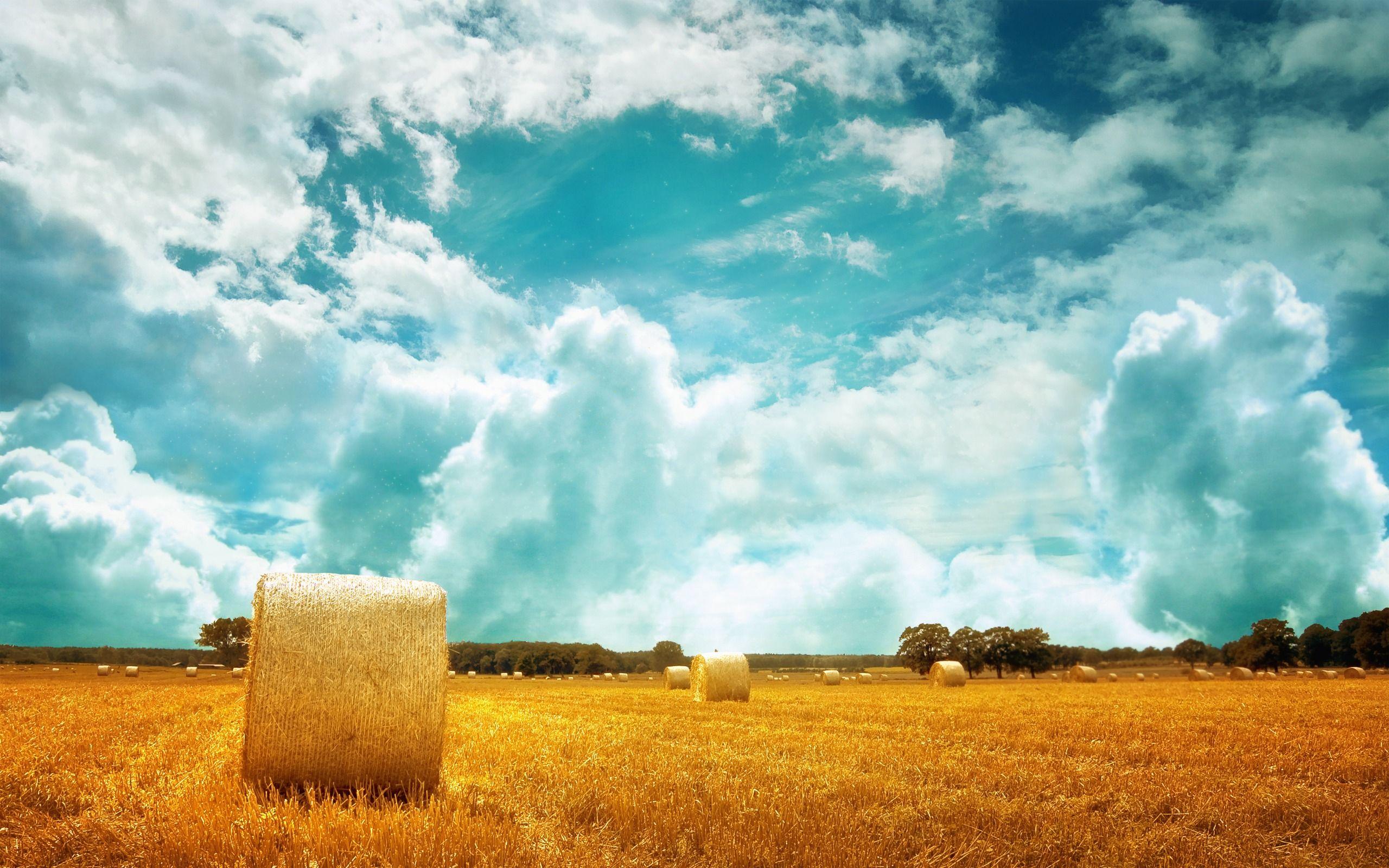 Windows Longhorn Wallpapers - Top Free Windows Longhorn Backgrounds ...