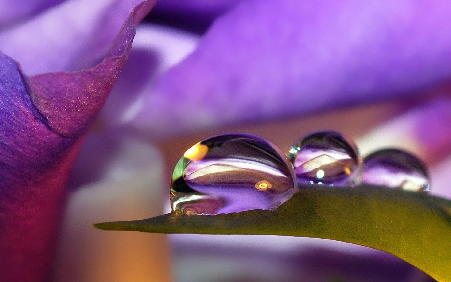 Cute Water Wallpapers - Top Free Cute Water Backgrounds - WallpaperAccess