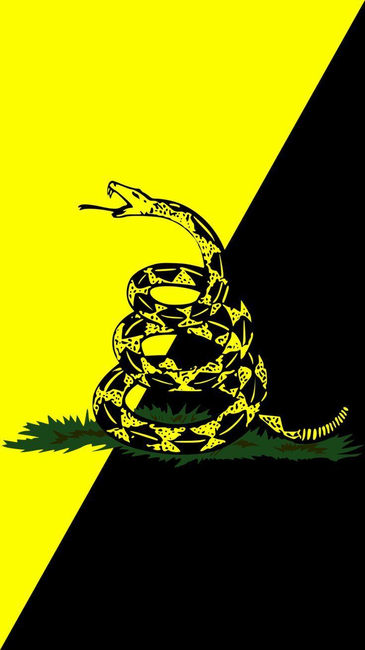 Ancap Wallpapers - Top Free Ancap Backgrounds - WallpaperAccess