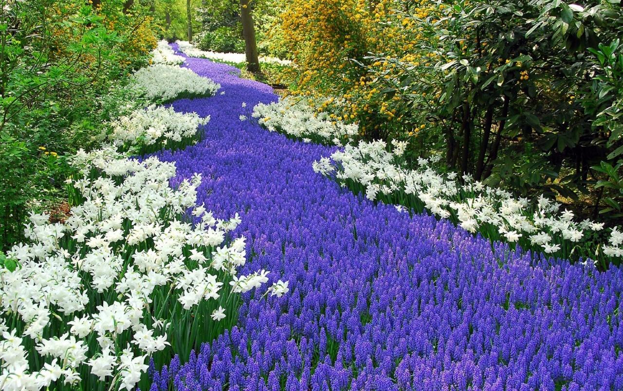 Flower Road Wallpapers - Top Free Flower Road Backgrounds - WallpaperAccess