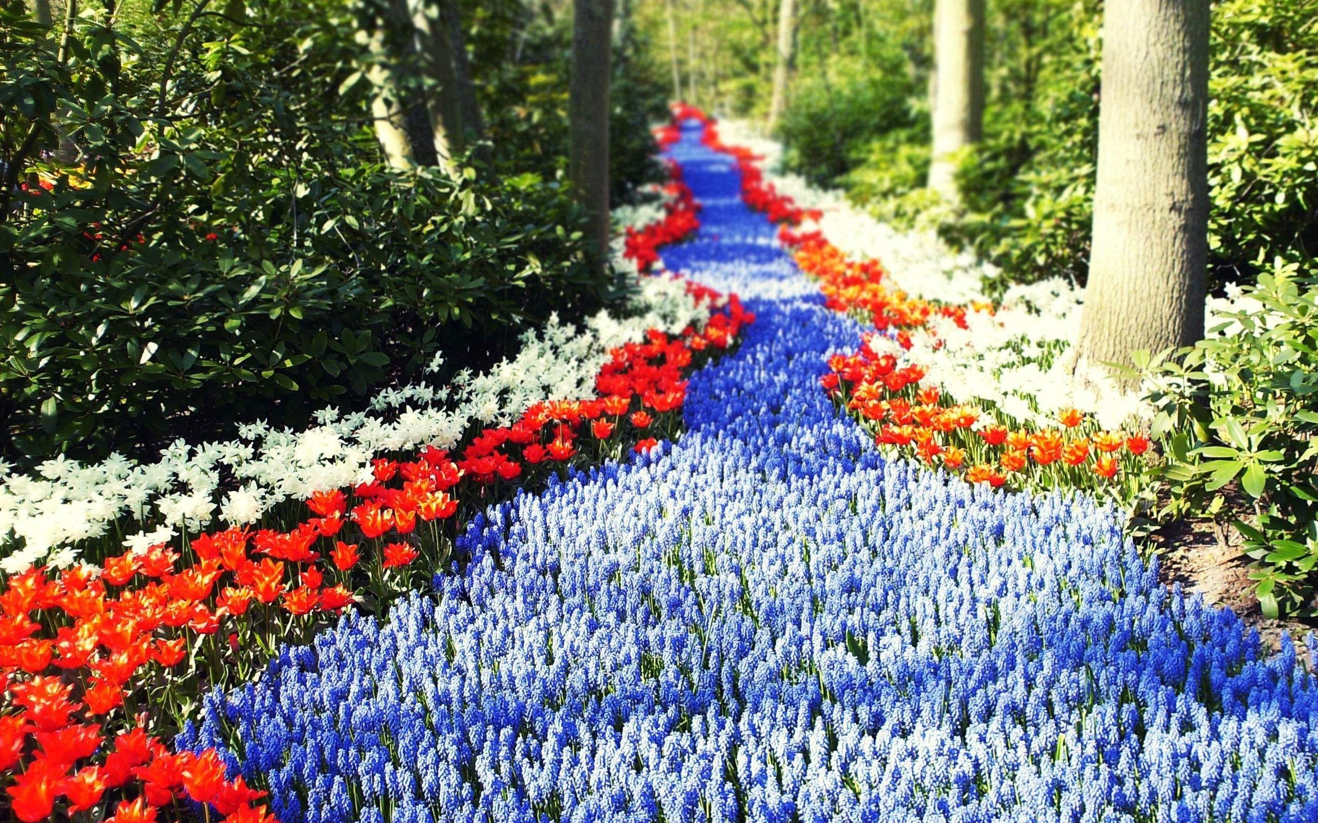 Flower Road Wallpapers - Top Free Flower Road Backgrounds - WallpaperAccess