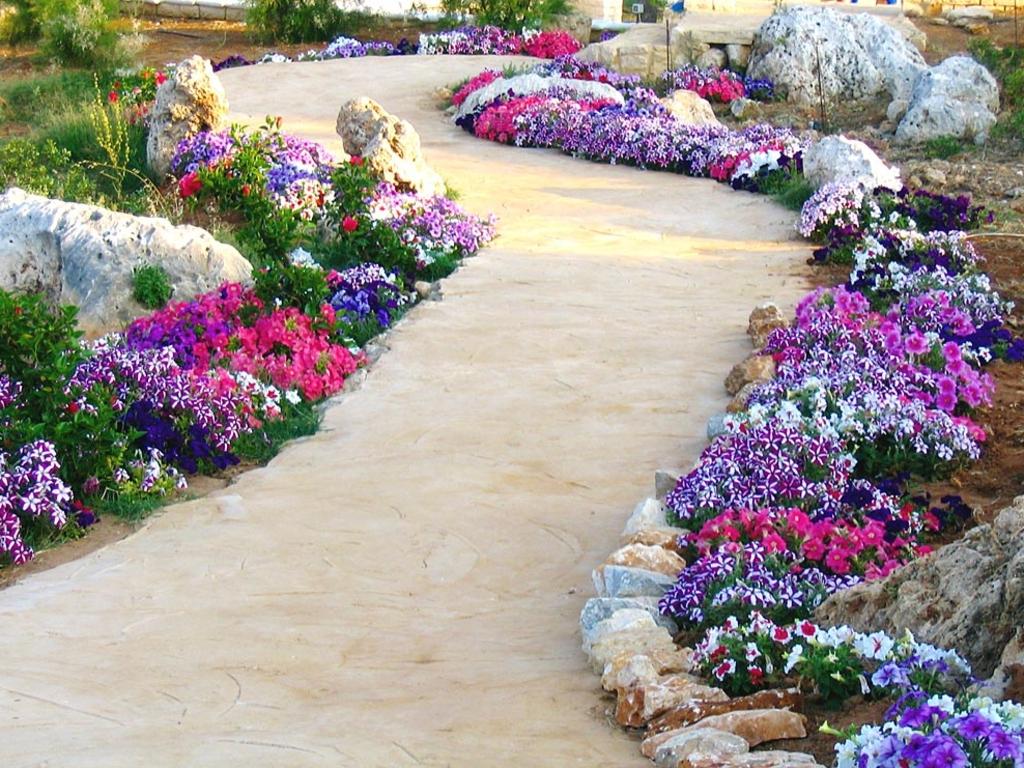 Flower Road Wallpapers - Top Free Flower Road Backgrounds - WallpaperAccess