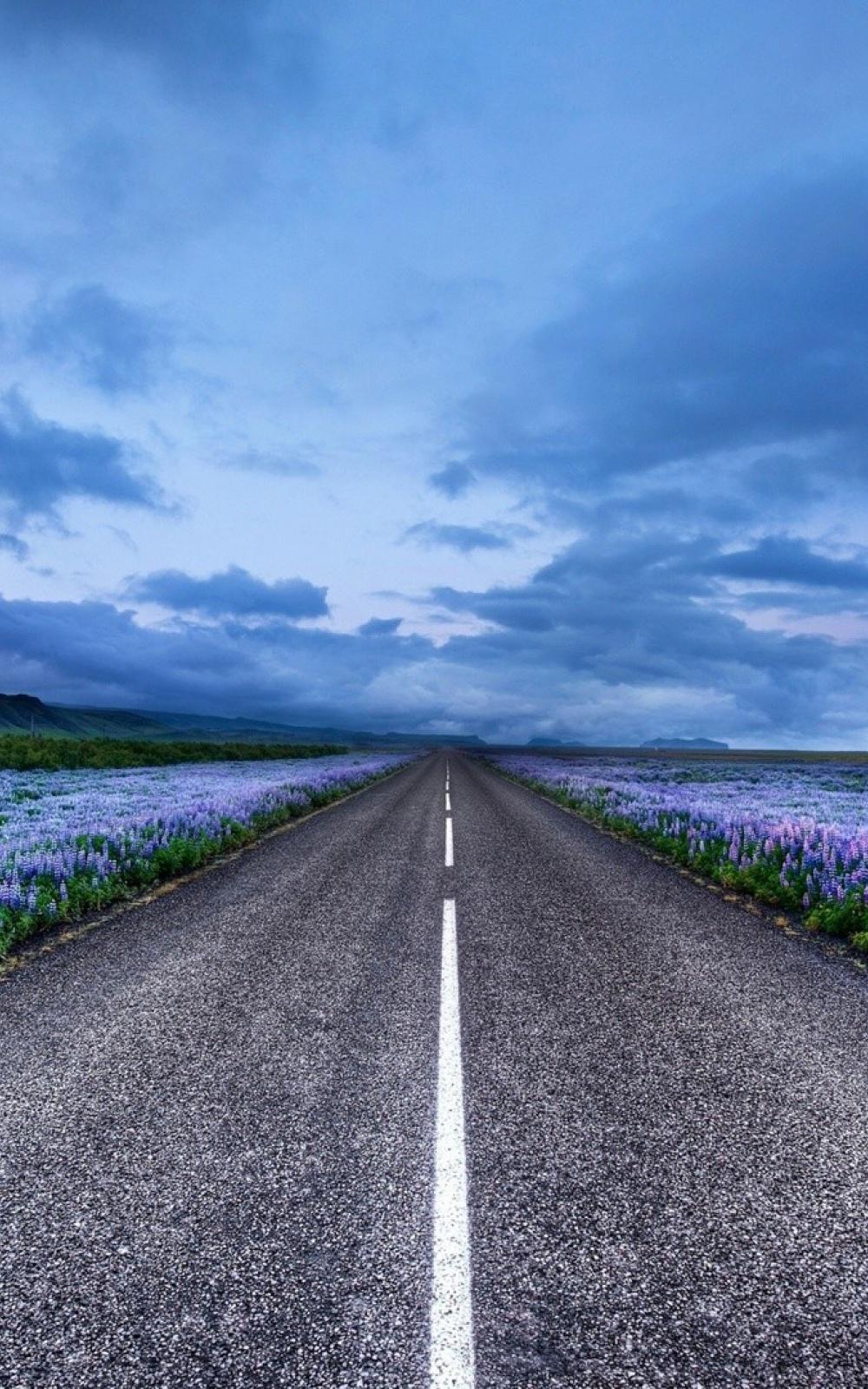 Flower Road Wallpapers - Top Free Flower Road Backgrounds - WallpaperAccess