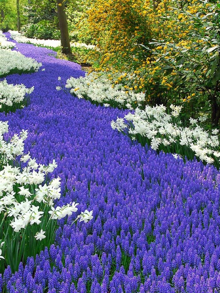 Flower Road Wallpapers - Top Free Flower Road Backgrounds - WallpaperAccess