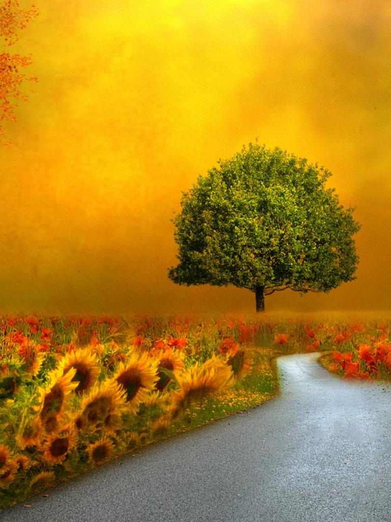 Flower Road Wallpapers - Top Free Flower Road Backgrounds - WallpaperAccess