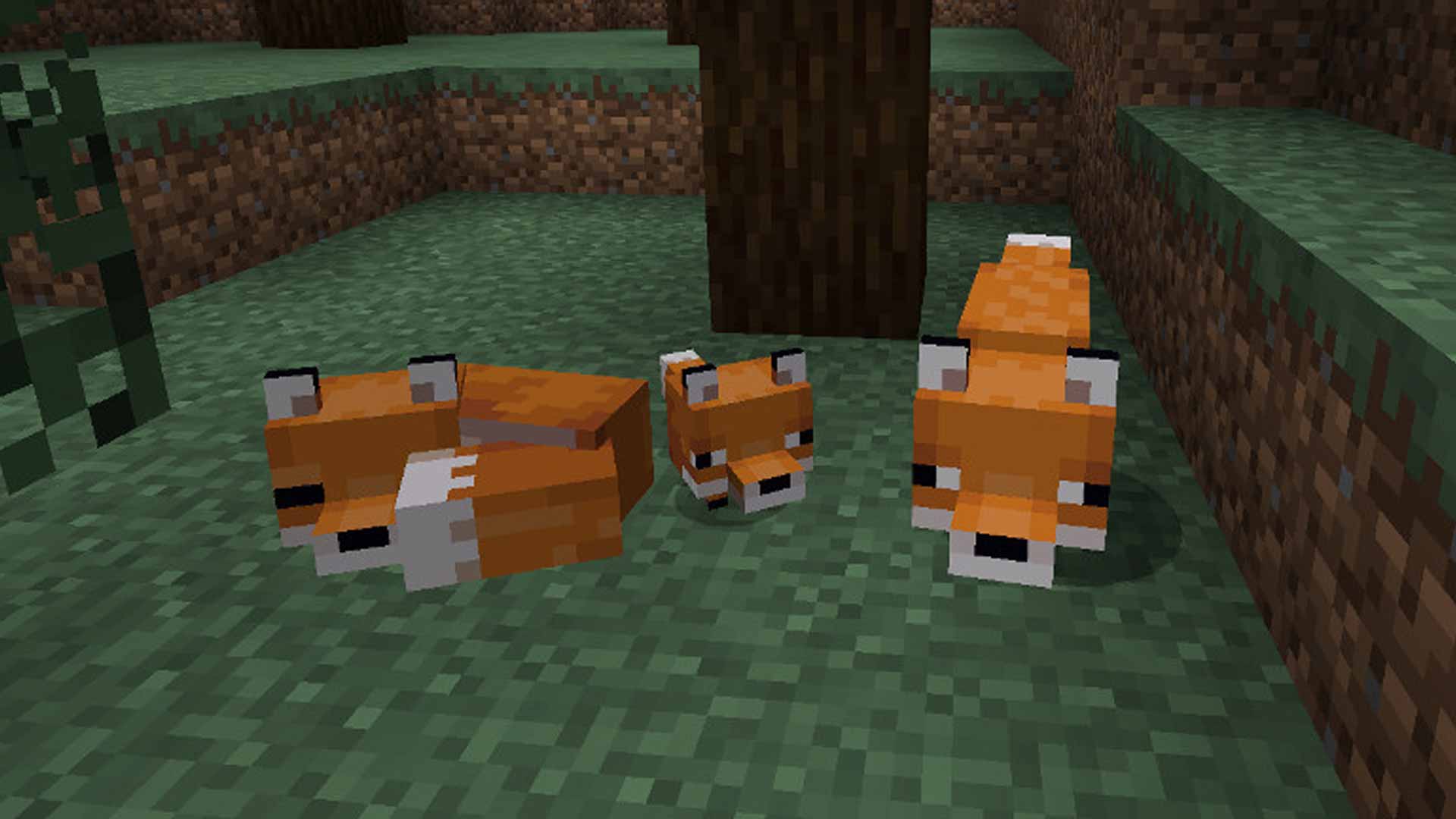 Minecraft Fox Wallpapers - Top Free Minecraft Fox Backgrounds ...