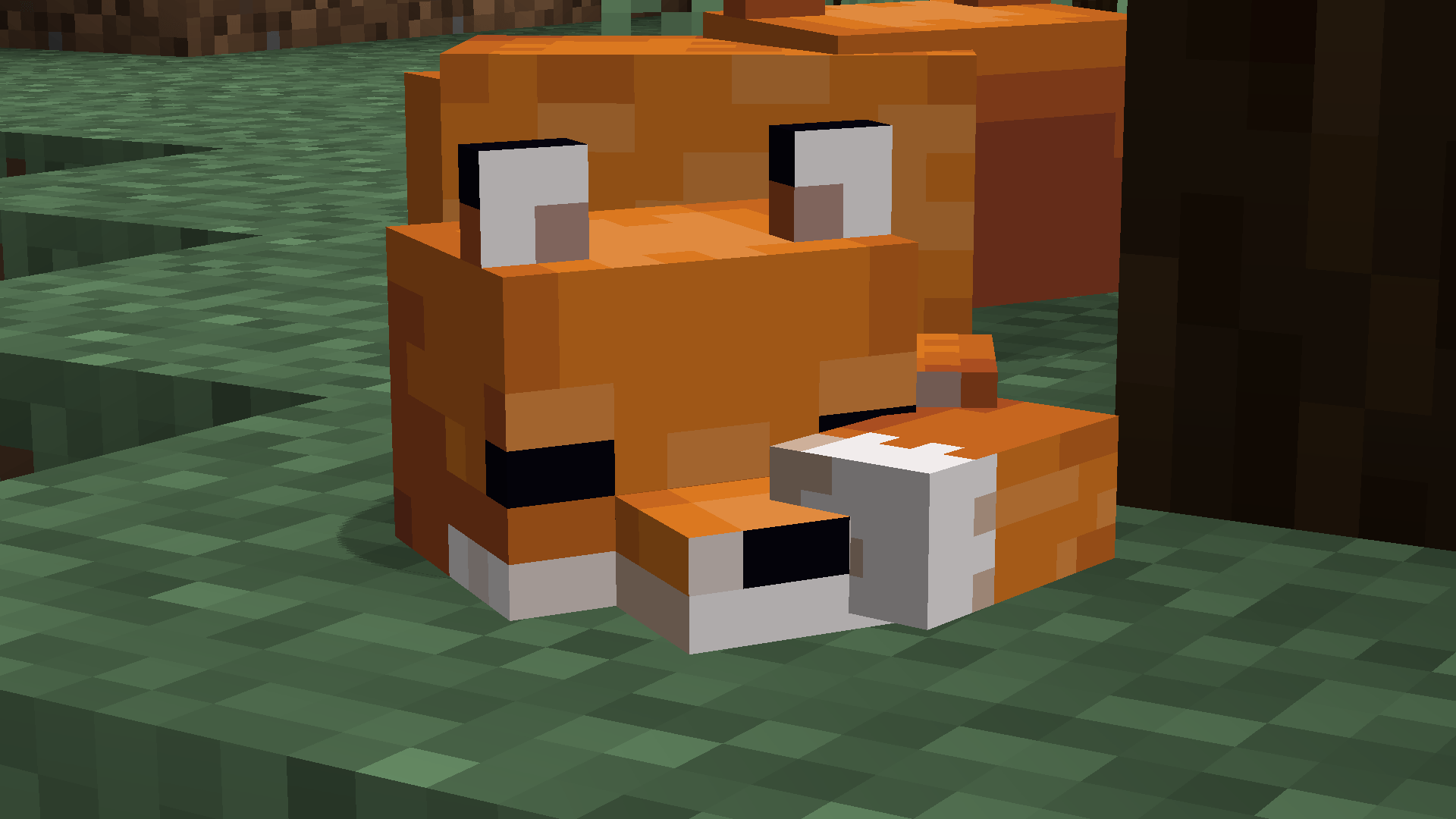 Minecraft Fox Wallpapers - Top Free Minecraft Fox Backgrounds ...