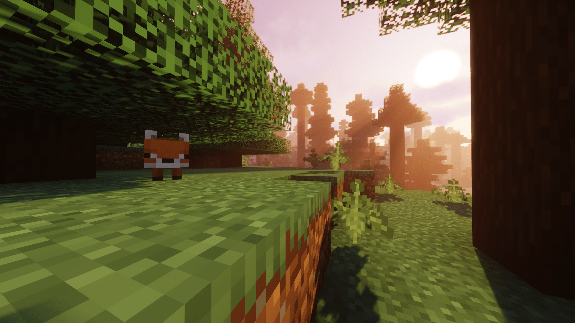 Minecraft Fox Wallpapers - Top Free Minecraft Fox Backgrounds ...