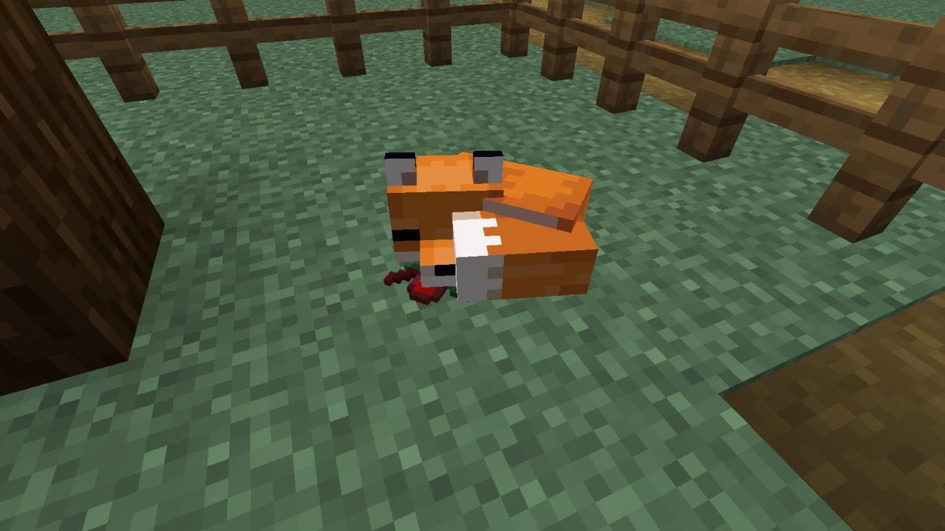 Minecraft Fox Wallpapers - Top Free Minecraft Fox Backgrounds ...