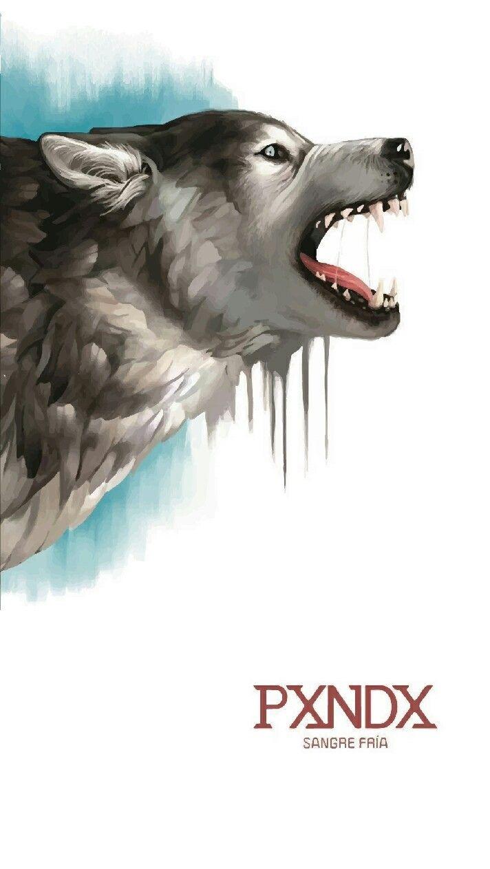 PXNDX Wallpapers - Top Free PXNDX Backgrounds - WallpaperAccess