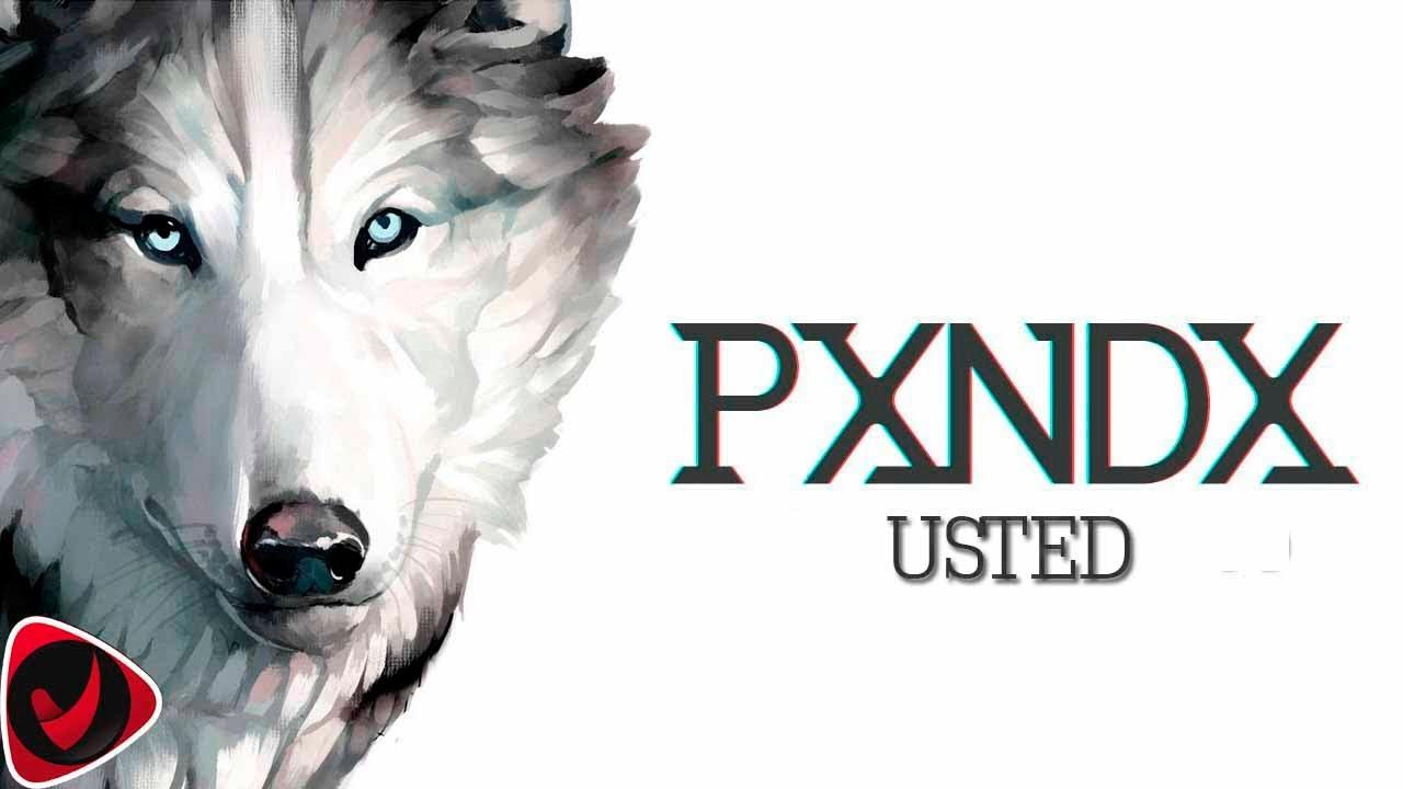 PXNDX Wallpapers - Top Free PXNDX Backgrounds - WallpaperAccess