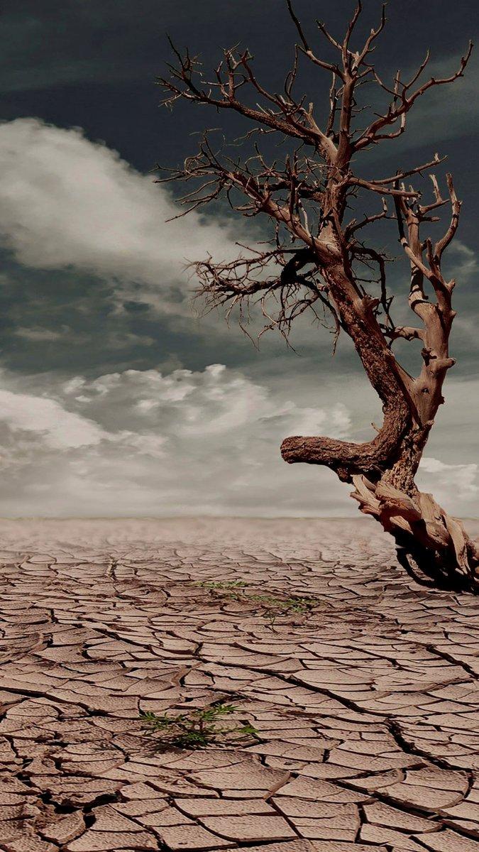 Dry Land Wallpapers - Top Free Dry Land Backgrounds - WallpaperAccess