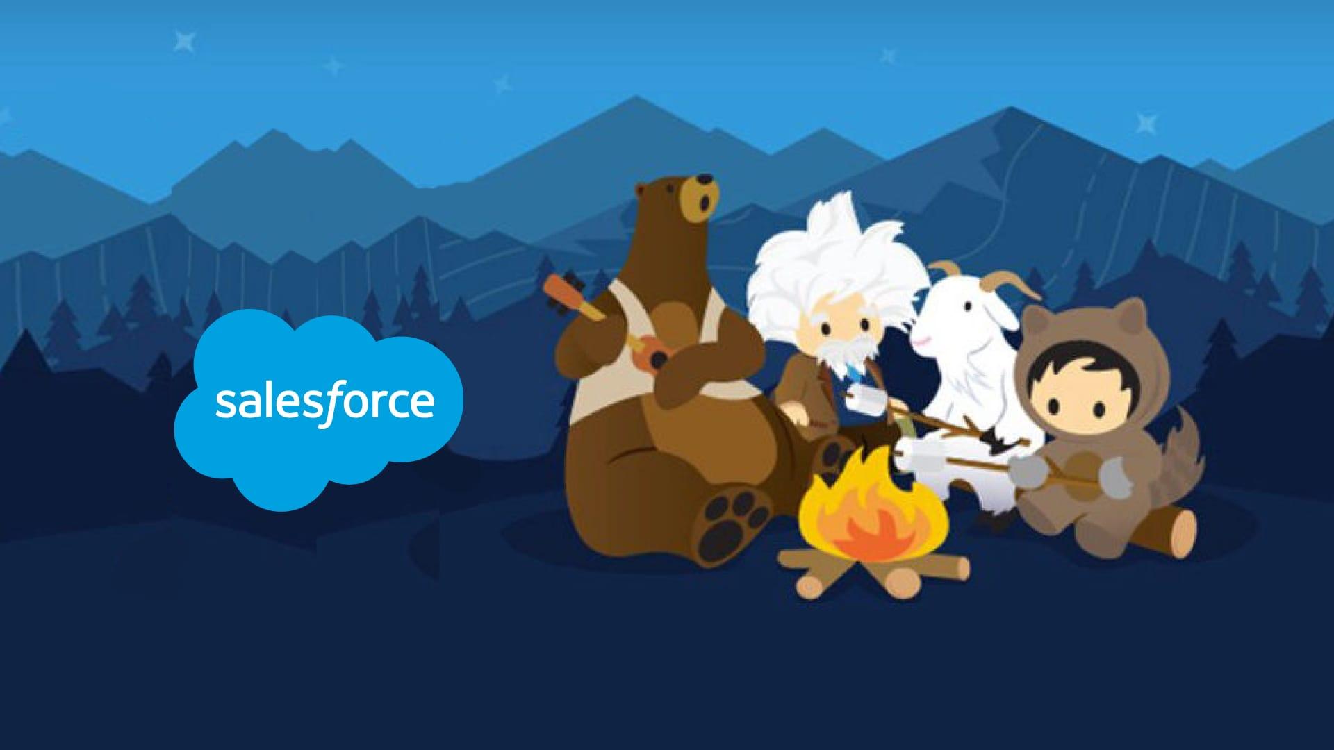 Salesforce Wallpapers - Top Free Salesforce Backgrounds - WallpaperAccess